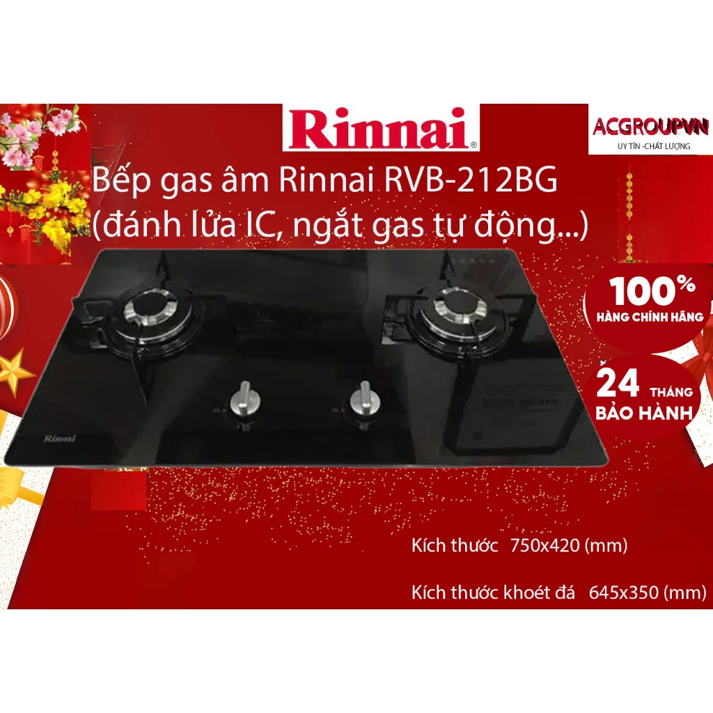 Bếp gas âm Rinnai RVB-212BG (mặt kính cường lực, đánh lửa IC, Ngắt gas ...