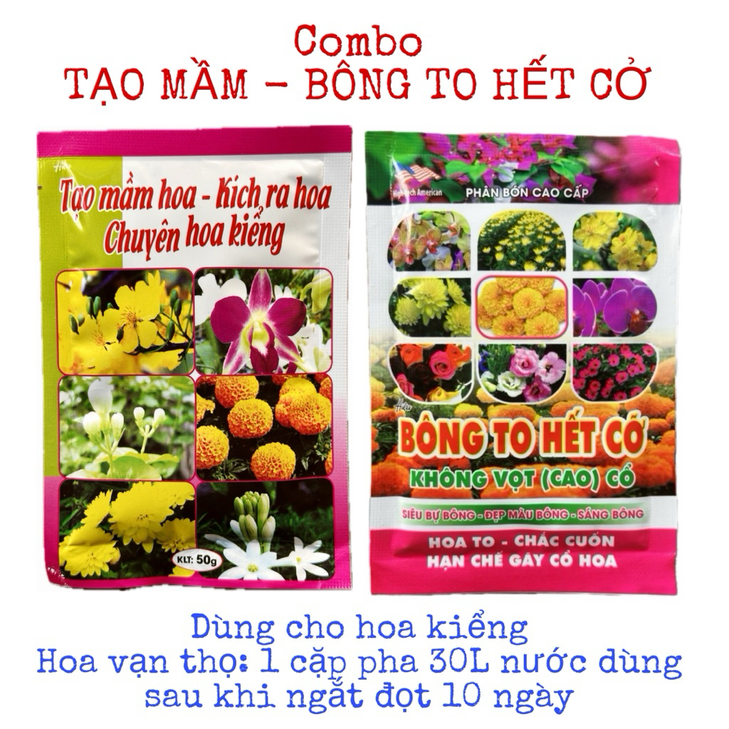 COMBO TẠO MẦM HOA- BÔNG TO HẾT CỞ chuyên dùng cho hoa vạn thọ và các ...