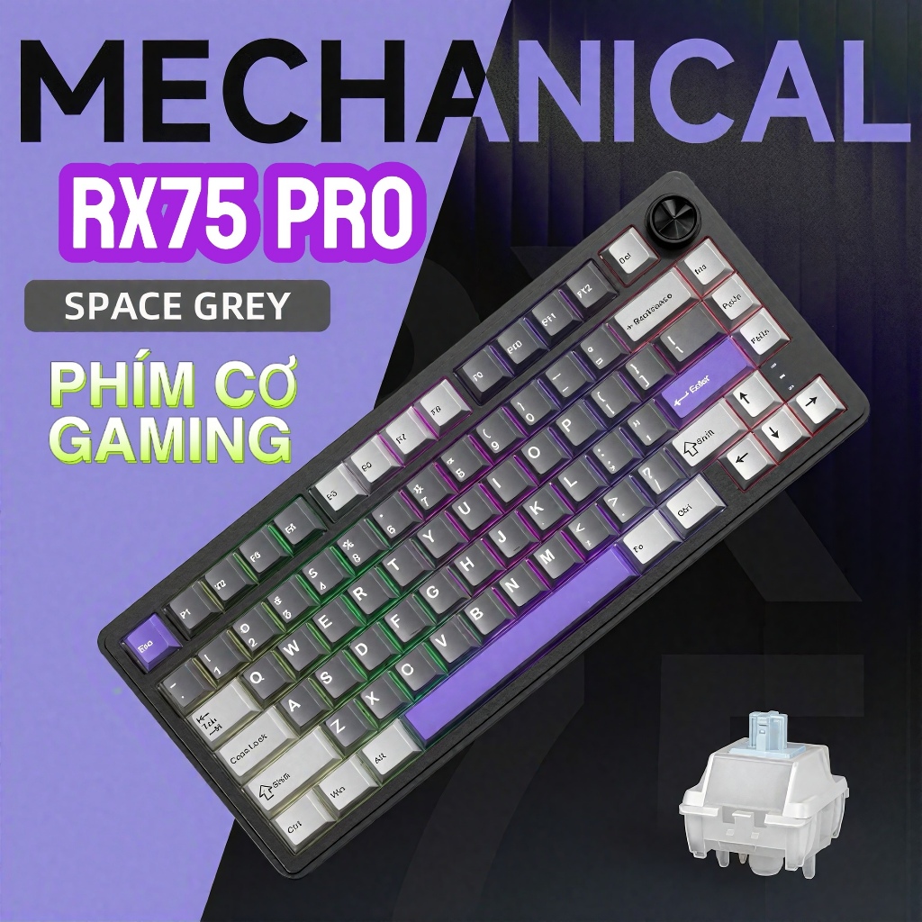 Bàn Phím Cơ Gaming ZIFRIEND RX75 PRO - hotswap - Led RGB - USB ...