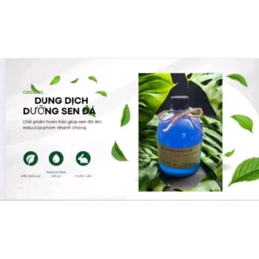 🍃 Phân Bón Organic Sen Đá - Bí Quyết Cho Vườn Sen Đá Lên Màu Rực Rỡ Bền ...