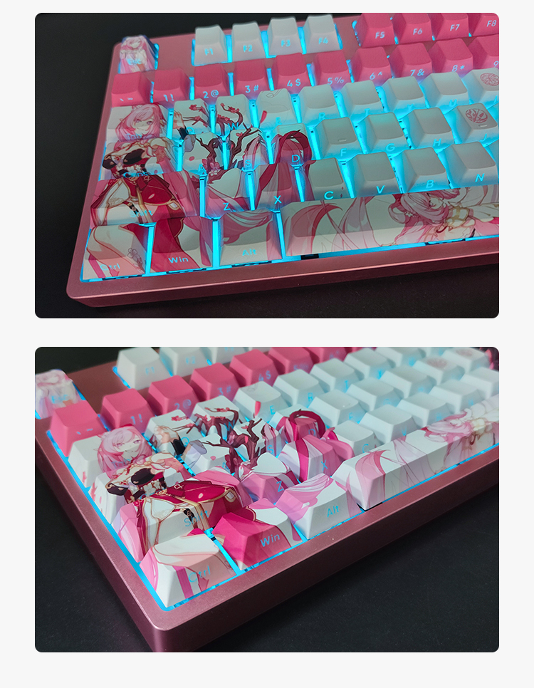 Keycap Honkai Impact 3 Elysia thick PBT ninja xuyên led in dyesub 5 mặt ...