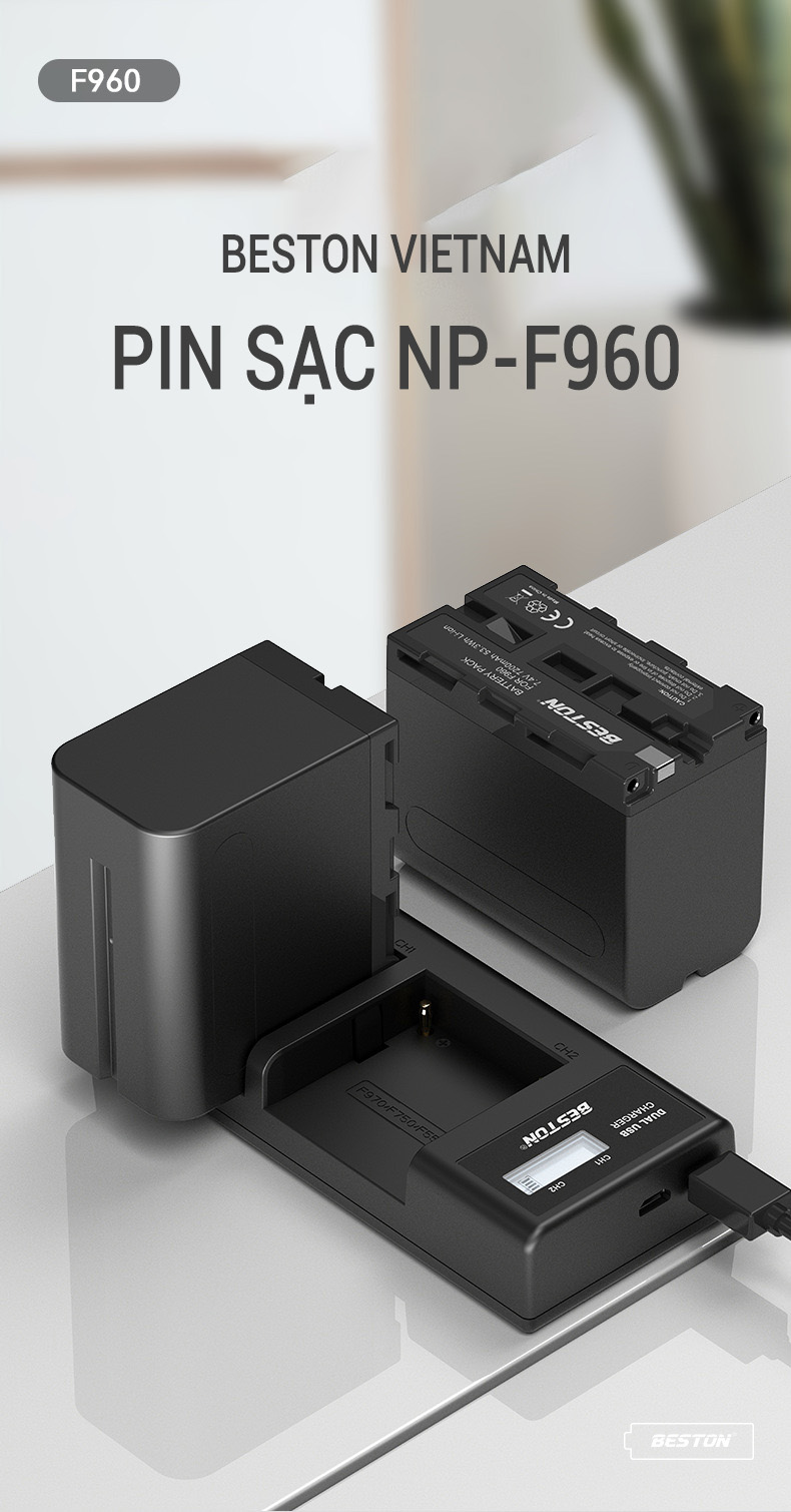 Bộ pin sạc Beston cho Sony NP‐F970/NP-F960/F750 NP‐F950 cho Sony DCR ...
