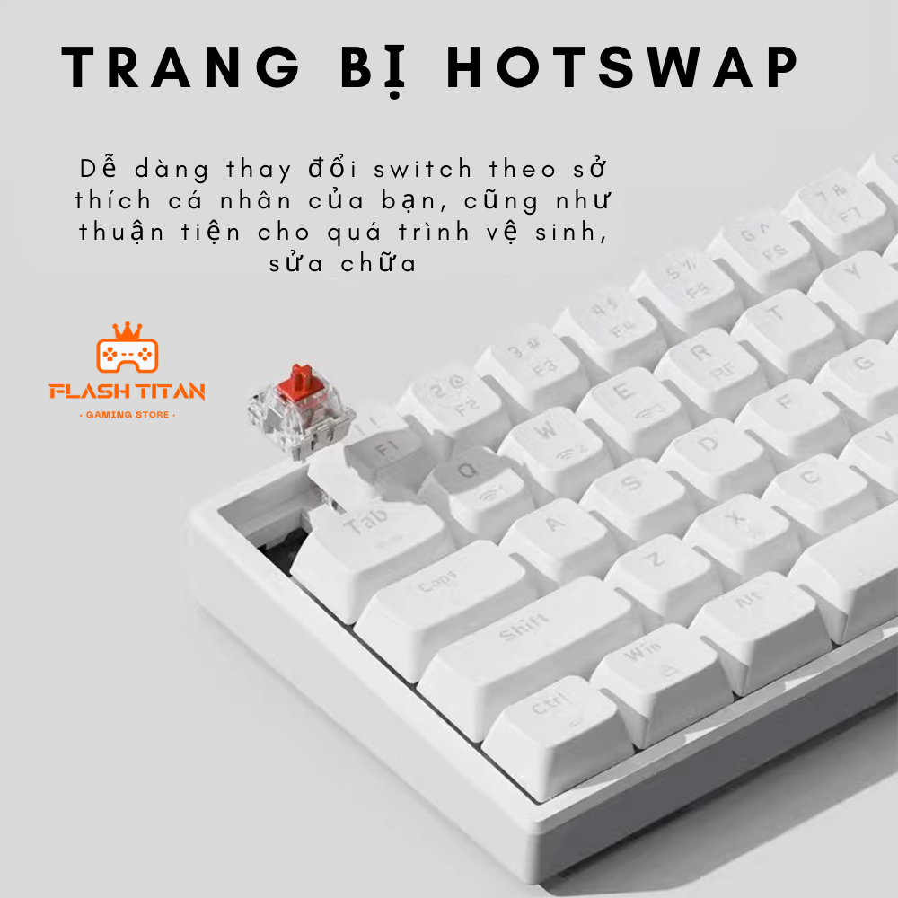 Bàn phím cơ không dây C068 - Hỗ trợ Hotswap - Trục cơ Brown switch - 3 ...