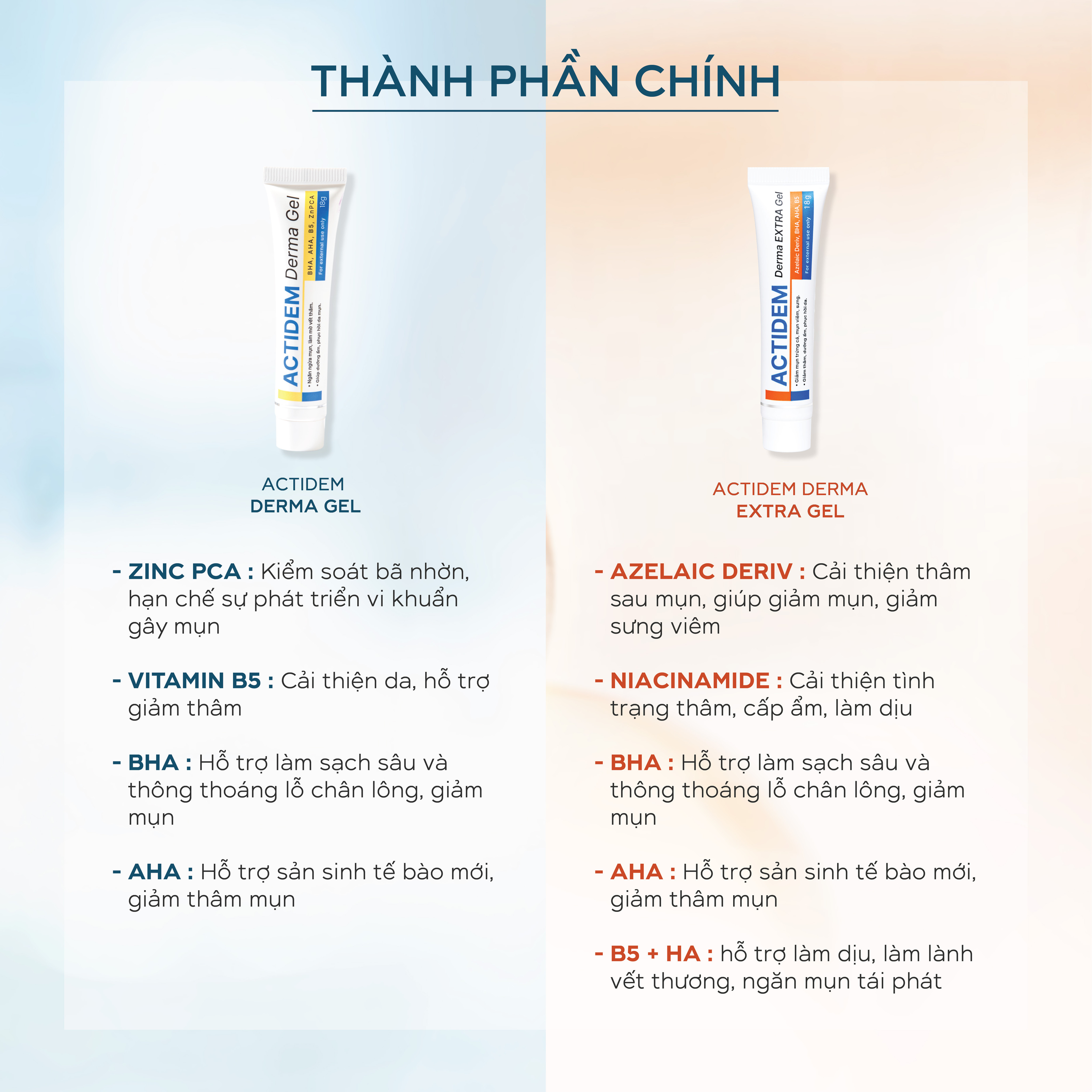 Gel giảm mụn Actidem Derma Gel 18/40gr | Shopee Việt Nam