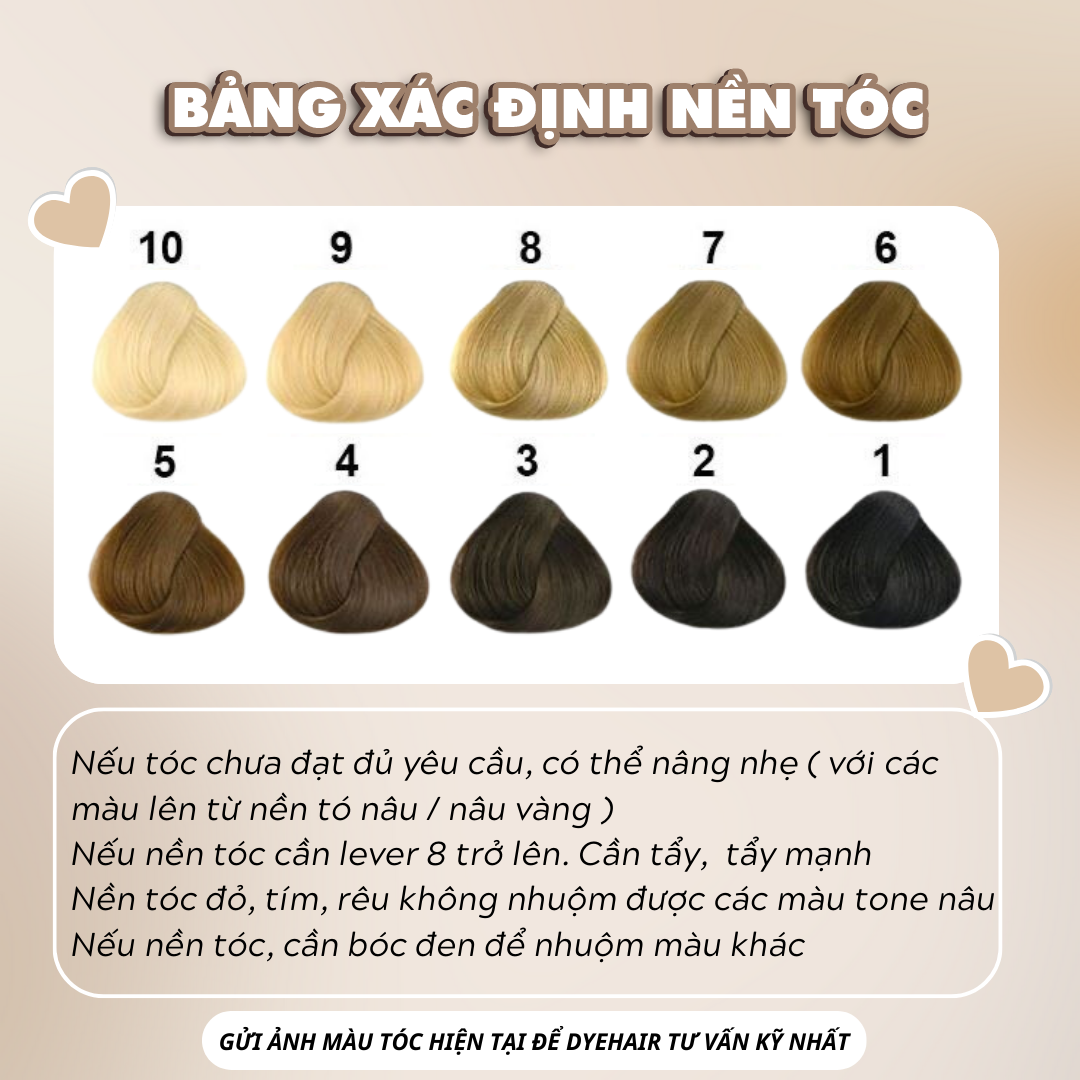 Thuốc nhuộm tóc, thuốc nhuôm tóc màu NÂU KIWI, DYE.HAIR, tặng kèm oxy ...