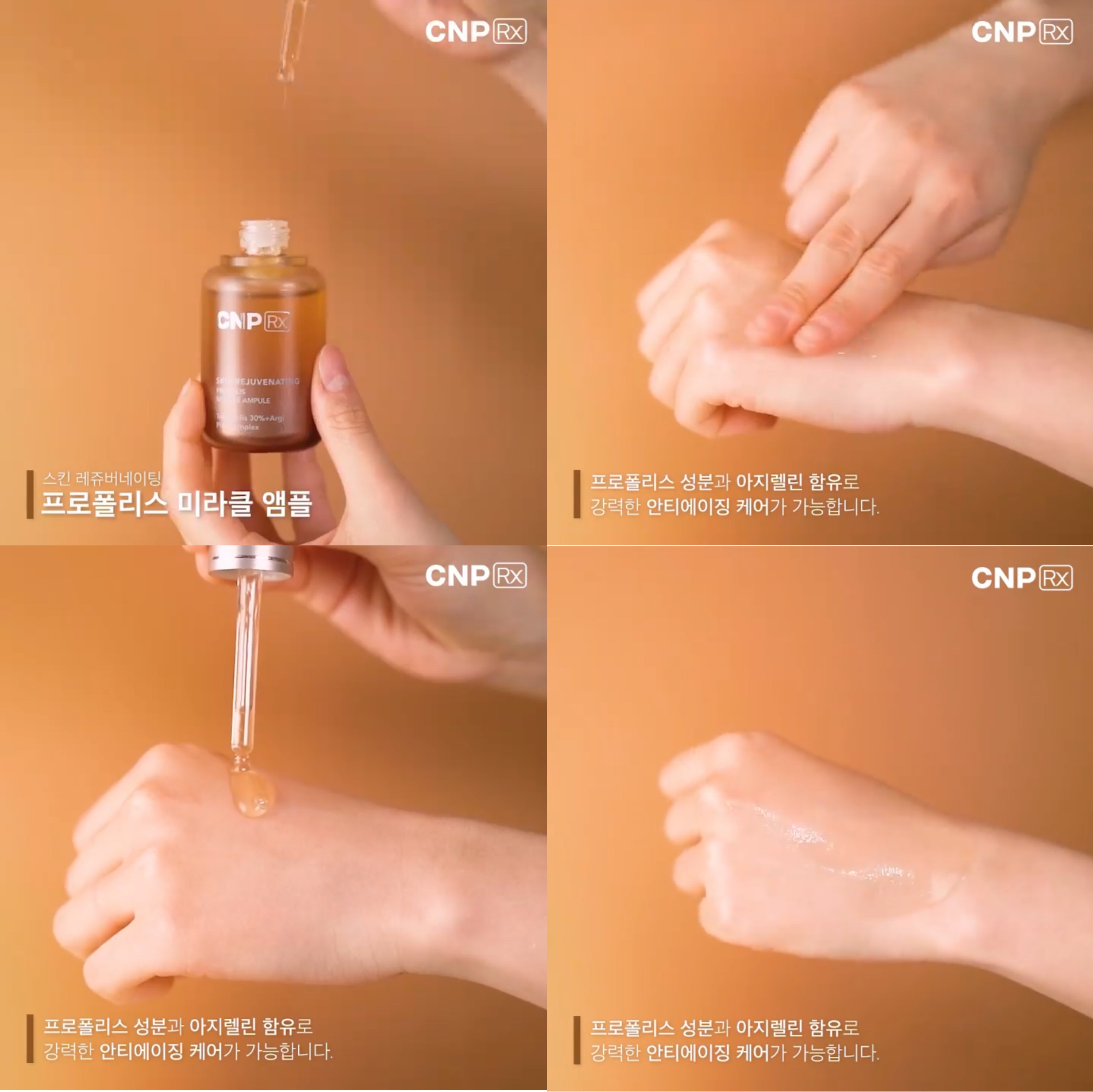 Combo 10 Gói Sample Tinh chất keo ong CNP Rx Skin Rejuvenating trẻ hóa ...