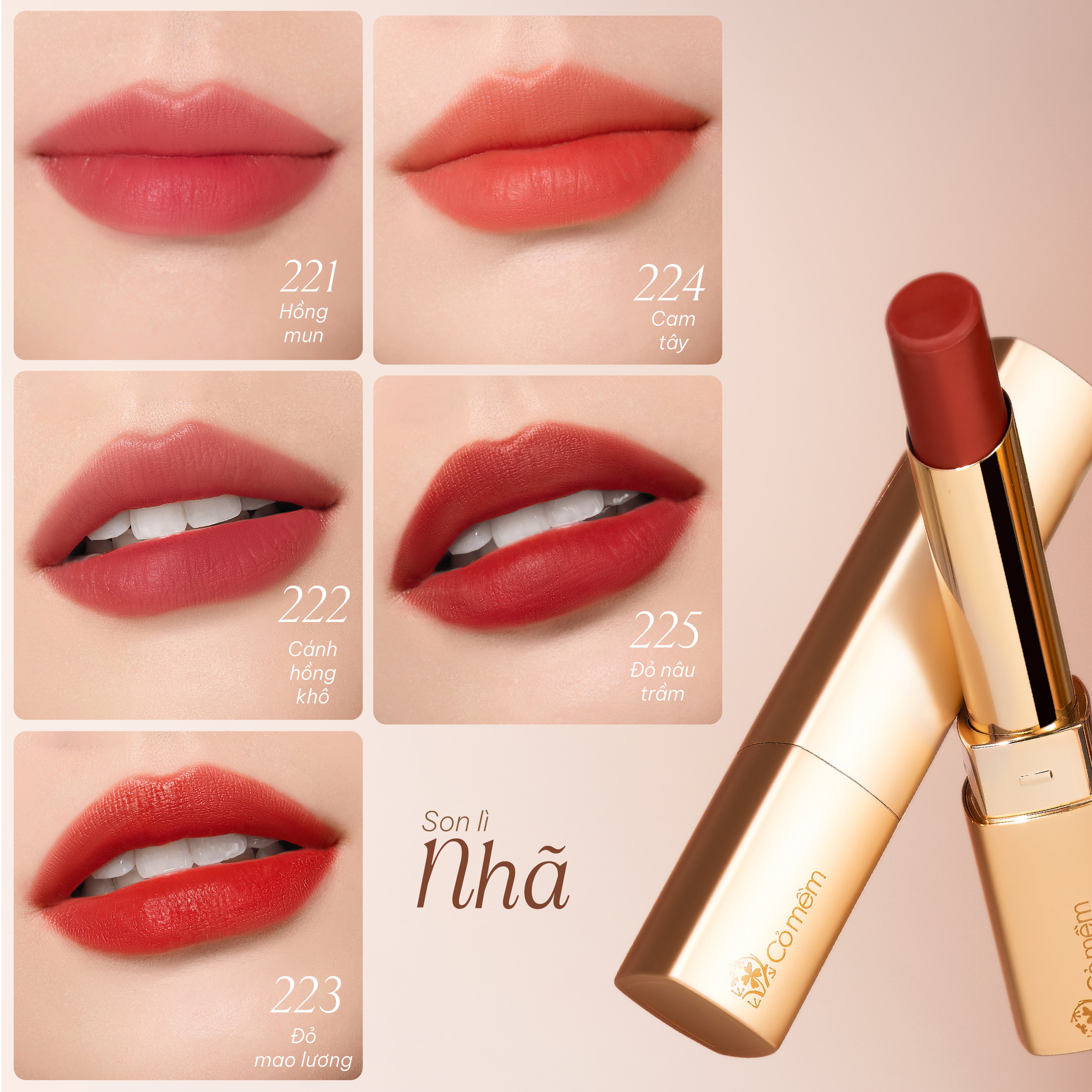 Bộ Combo son cao cấp Nhã Nhiên cho môi xinh mọng mướt ngừa lão hoá môi ...