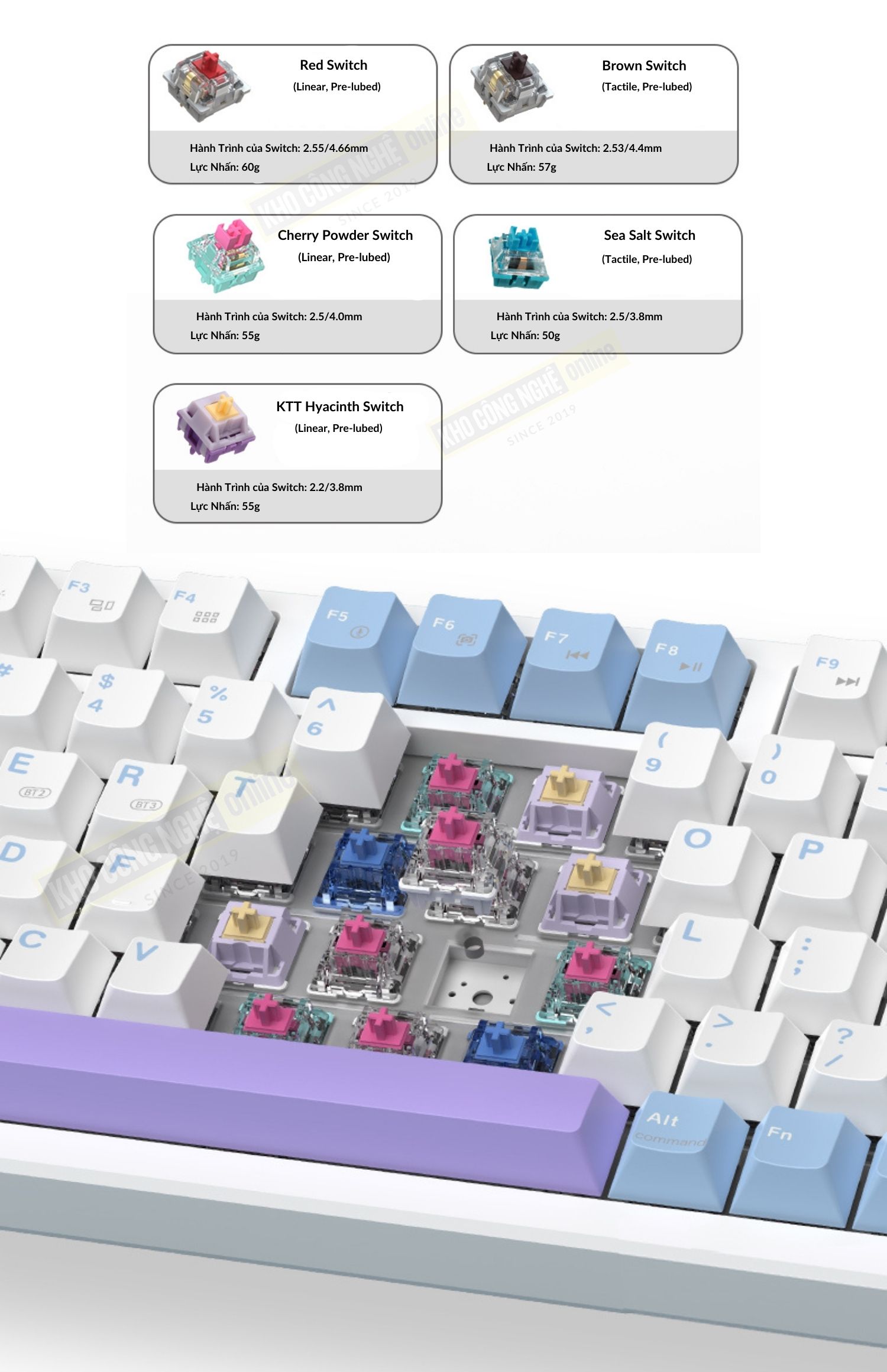 Monka 3075 V2 Pro - Bàn phím cơ Monka 3075 V2 Pro Mạch Xuôi (Led RGB ...