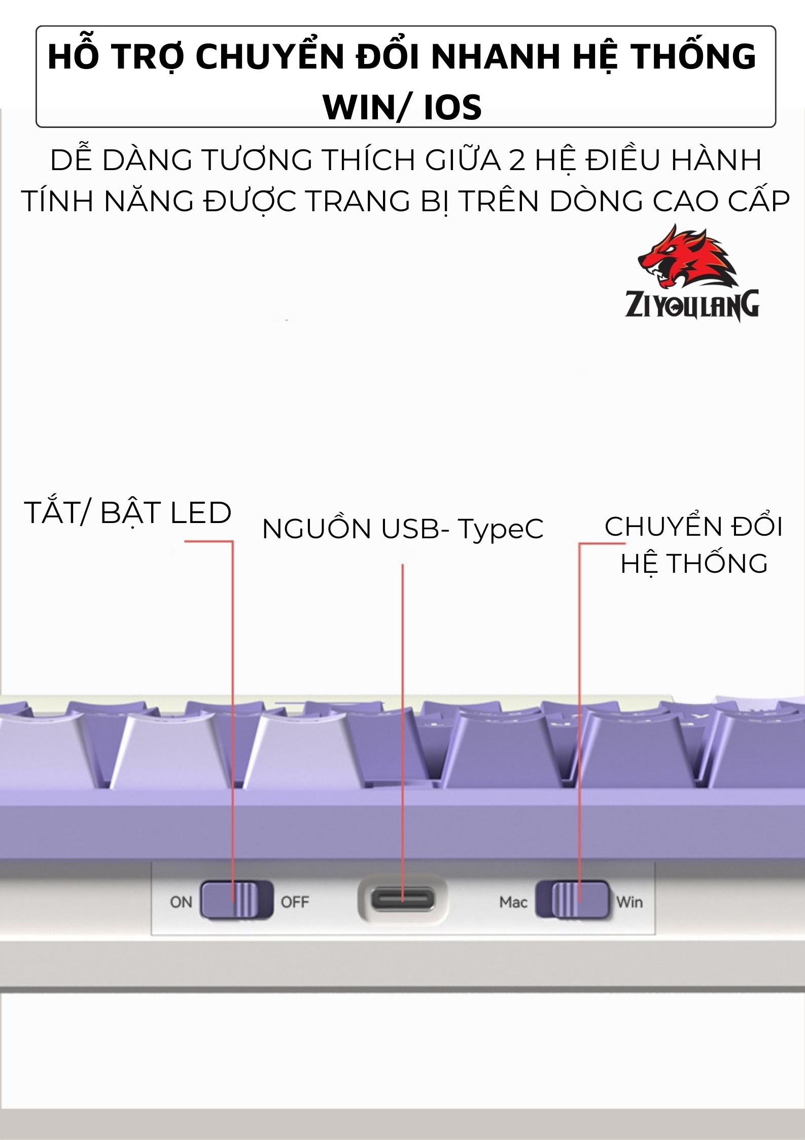 Bàn Phím Cơ Máy Tính Chơi Game ZiyouLang X87 LED Pro Gaming Cực Đẹp, Phím PBT Cao Cấp, Lót Foam ...