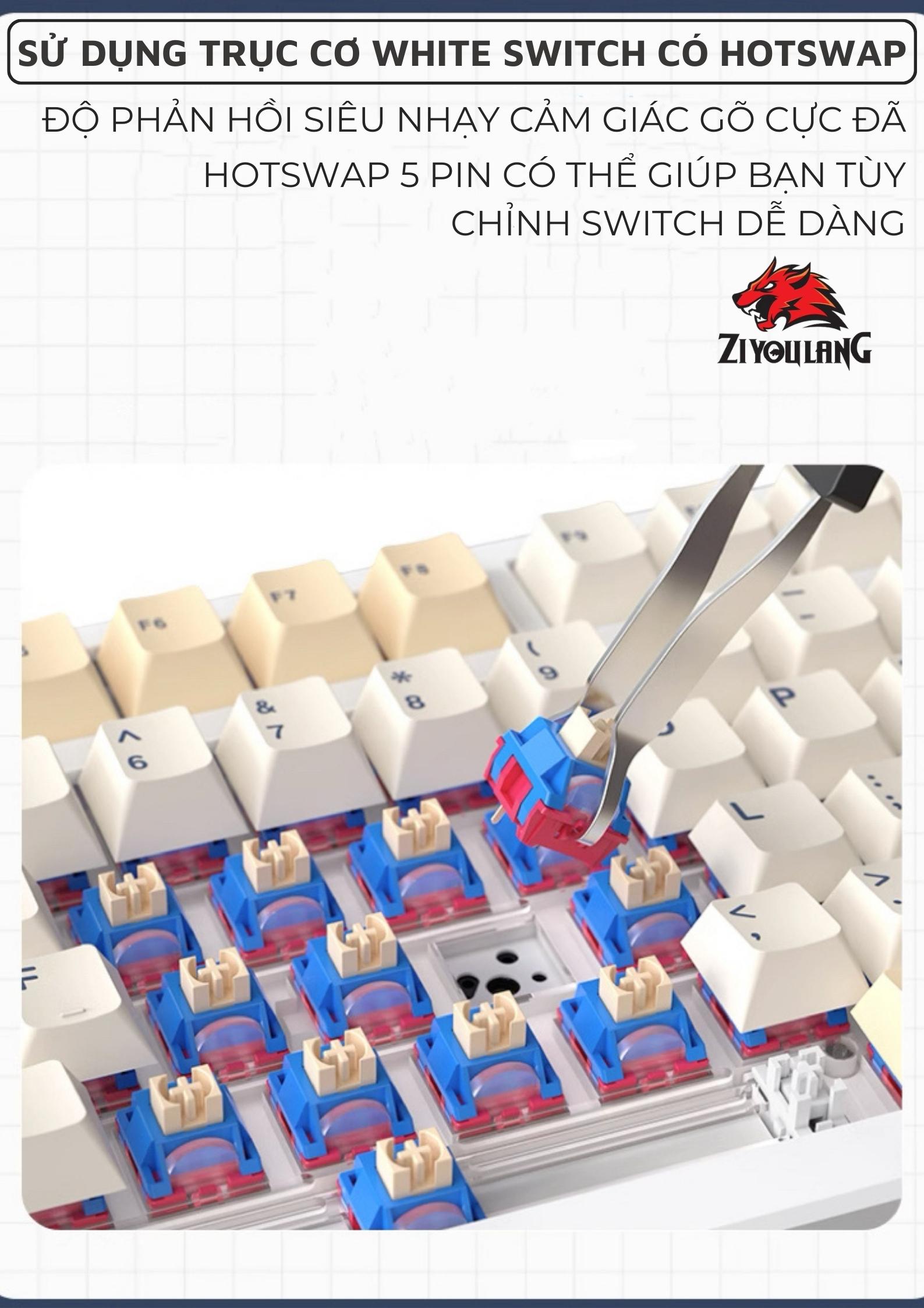 Bàn Phím Cơ Không Dây Bluetooth Cao Cấp ZiyouLang XM98 Led Rgb, 3 Mode ...