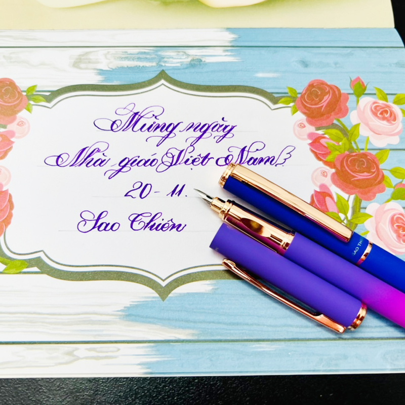 Bút Mực Sao Thiên S022 kim tinh lá tre luyện chữ thanh đậm calligraphy | Shopee Việt Nam