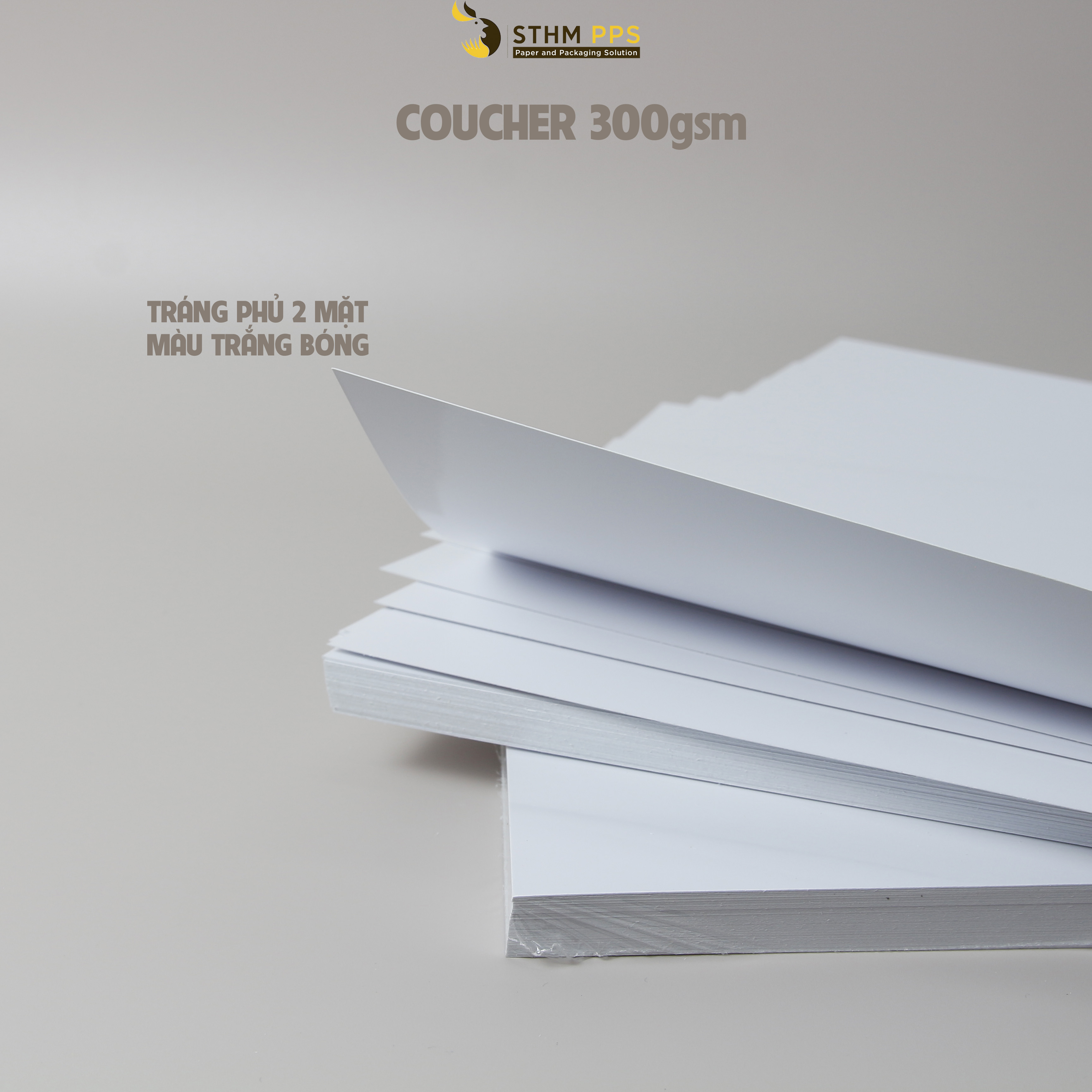 [STHM PPS] - 50 tờ giấy công nghiệp Ivory, Coucher tráng phủ 1 mặt, 2 ...