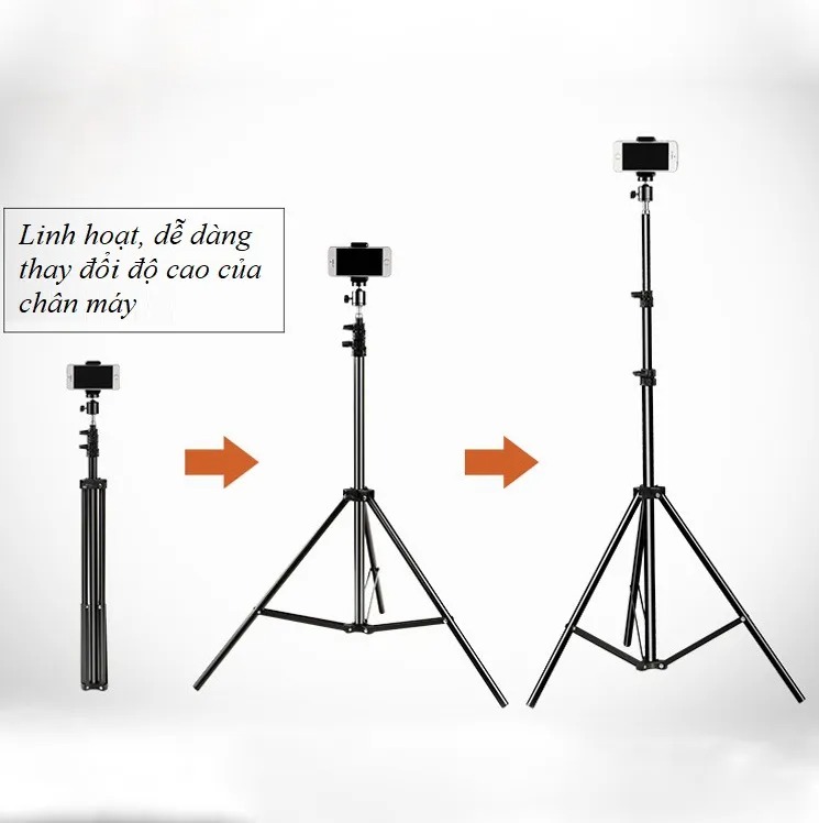 Chân đèn Linco Zenith 8806 cao cấp quay video điện thoại camera ...