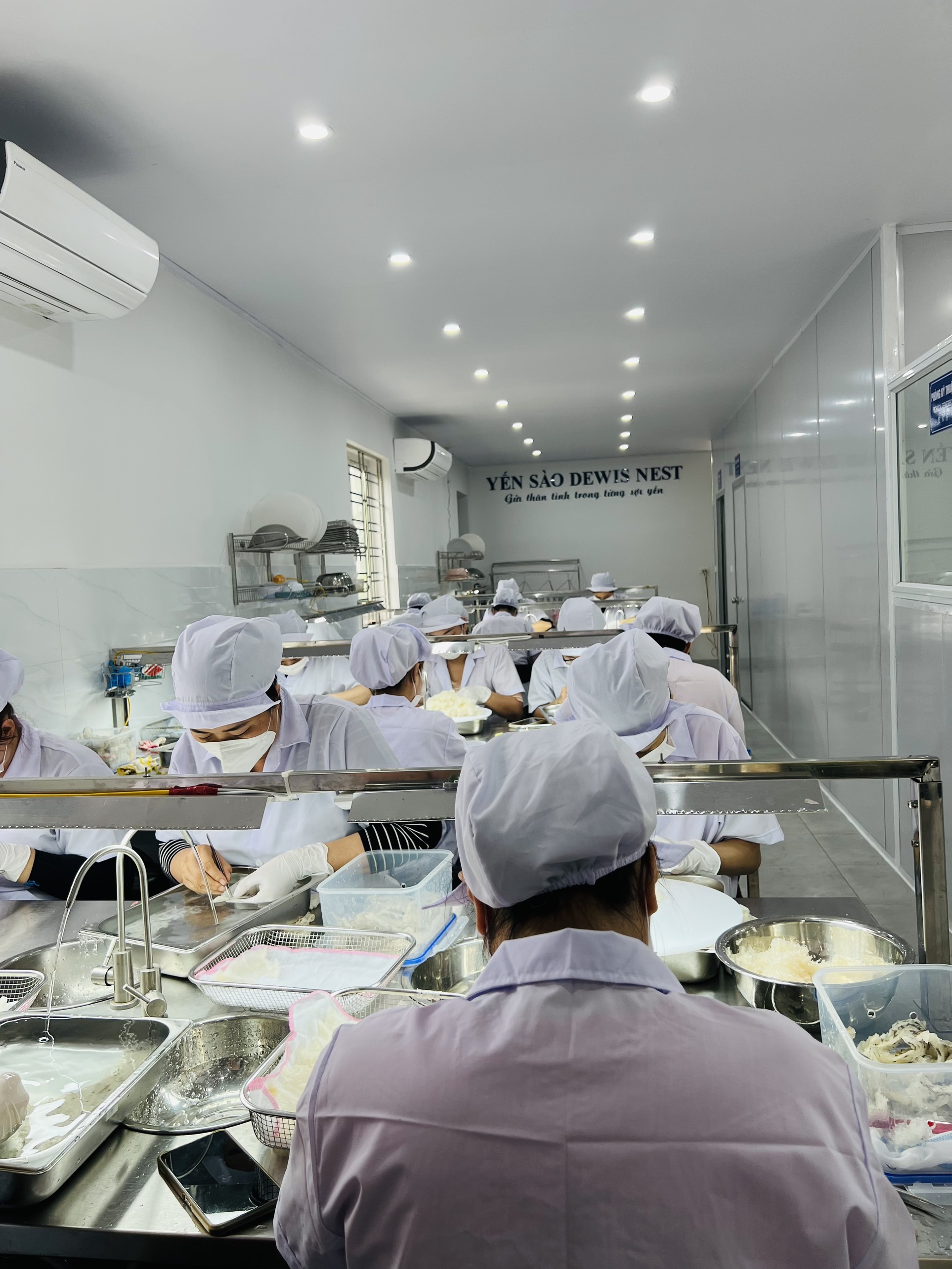 Hộp 5 Tổ Yến Sào Khánh Hòa Tinh Chế Sợi Dài Dewis Nest 100% Nguyên Chất ...