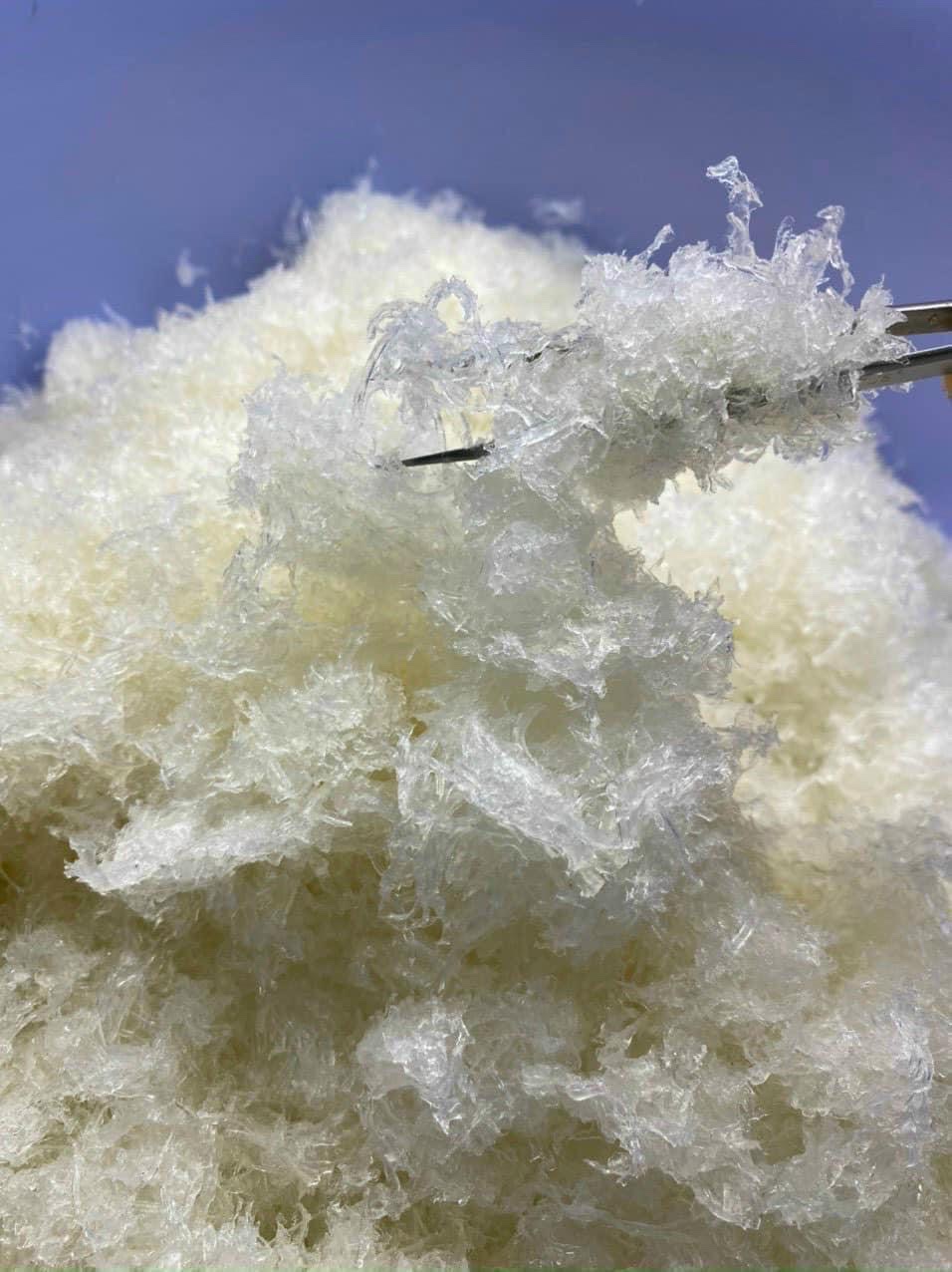 Hộp 5 Tổ Yến Sào Khánh Hòa Tinh Chế Sợi Dài Dewis Nest 100% Nguyên Chất ...