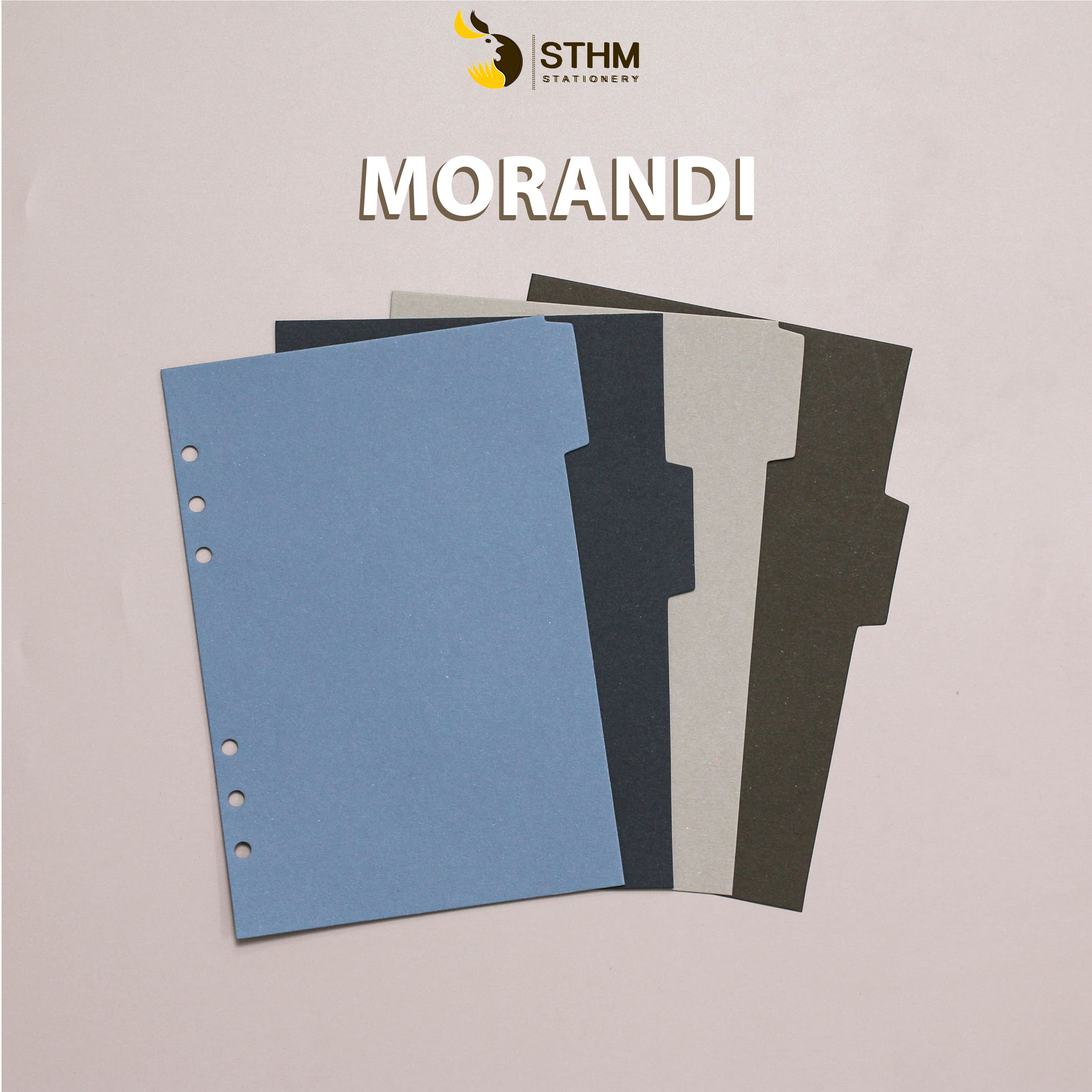 Set 4 tab phân trang cho sổ còng 6 lỗ - A5 - STHM stationery | Shopee ...