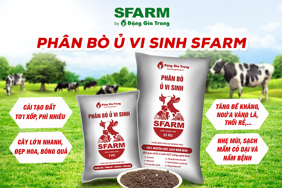 Phân bò Sfarm bao 25kg, phân bò ủ vi sinh Sfarm 100% nguyên chất, sạch mầm bệnh, phân bón cho ...