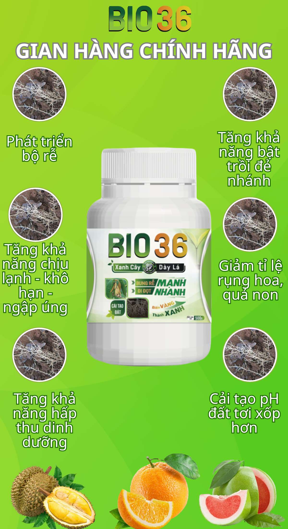 Bio 36 Siêu Kích Rễ, Phân Bón Bio36 Bung Rễ Mạnh Đi Đọt Nhanh, Phục Hồi ...