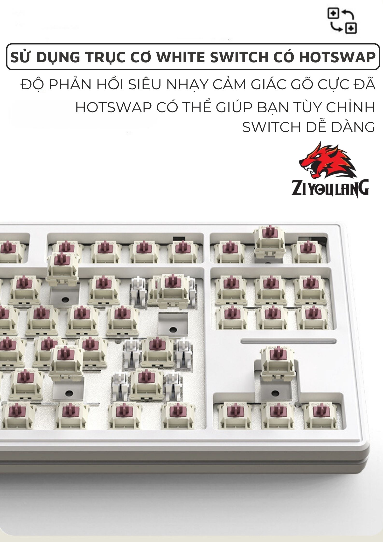 Bàn Phím Cơ Bluetooth Gaming ZiyouLang XINMENG XM87 VIP PRO V2 Nâng Cấp ...