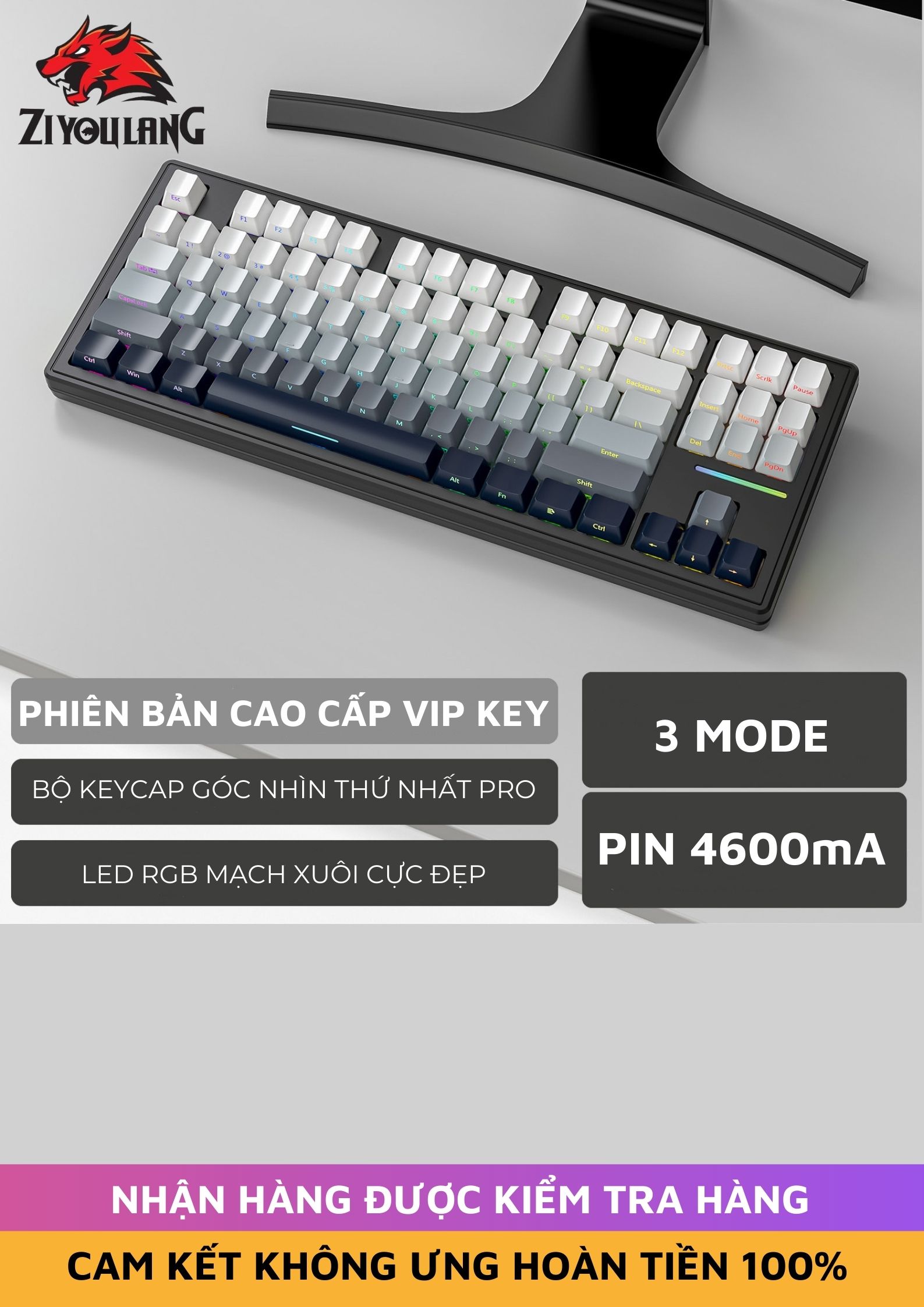 Bàn Phím Cơ Bluetooth Gaming ZiyouLang XINMENG XM87 VIP PRO V2 Nâng Cấp ...