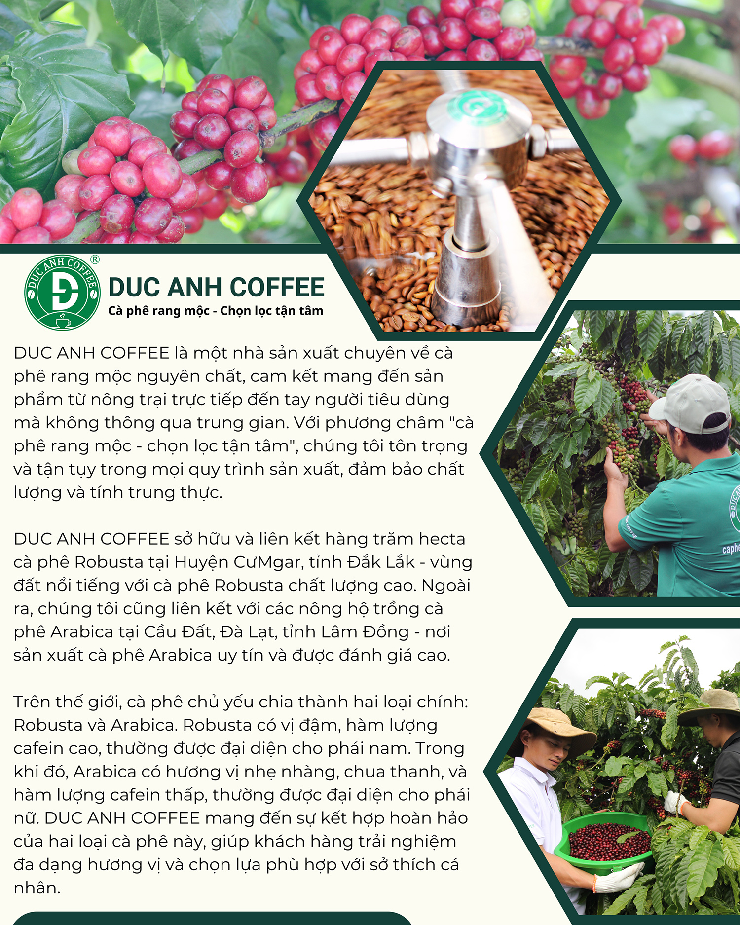 Gói 500g Cà Phê Pha Máy D82 Rang Mộc 80% robusta và 20% arabica DUC ANH ...