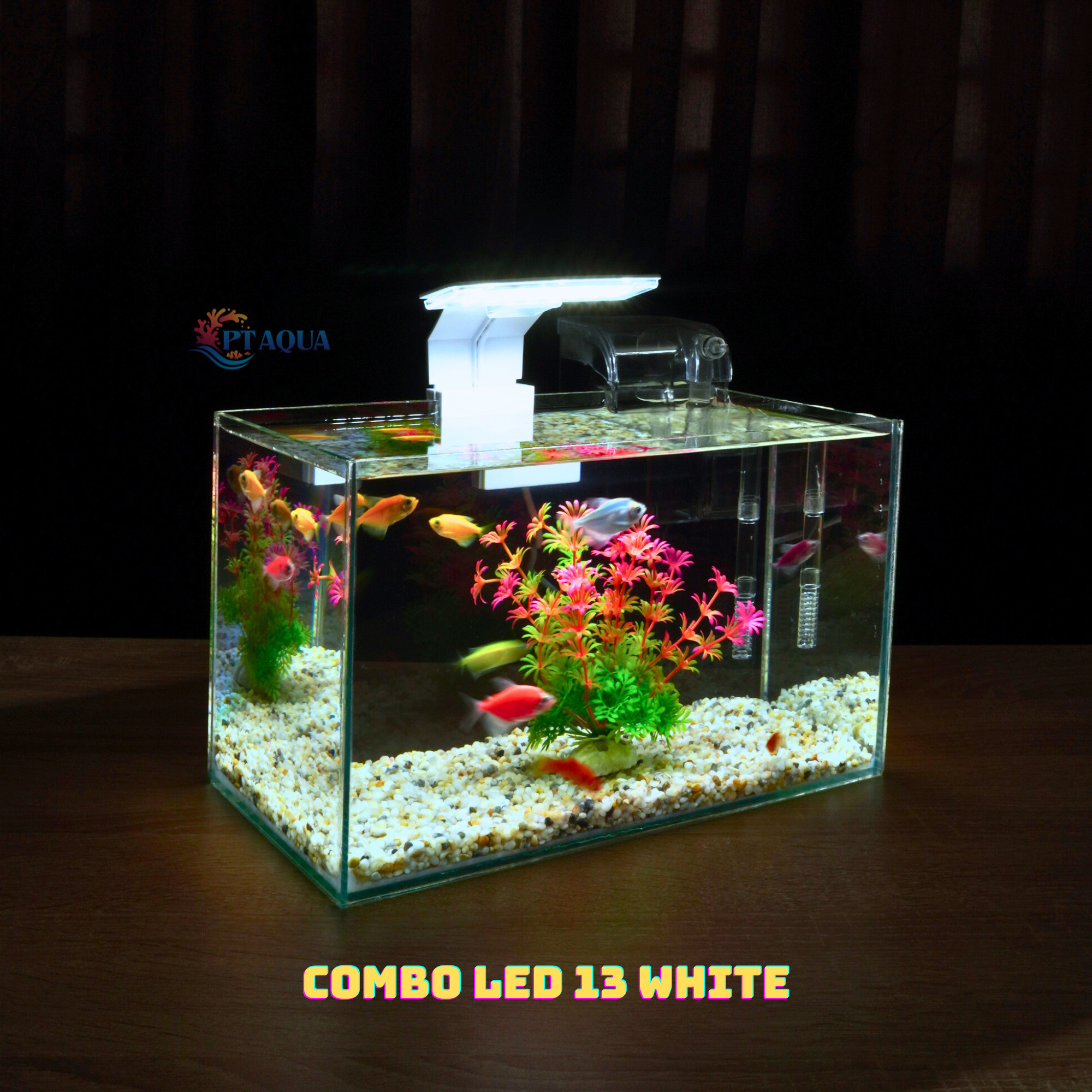 Bể cá mini để bàn 30x15x18 Nhiều Mẫu phù hợp nuôi cá cảnh mini để bàn ...