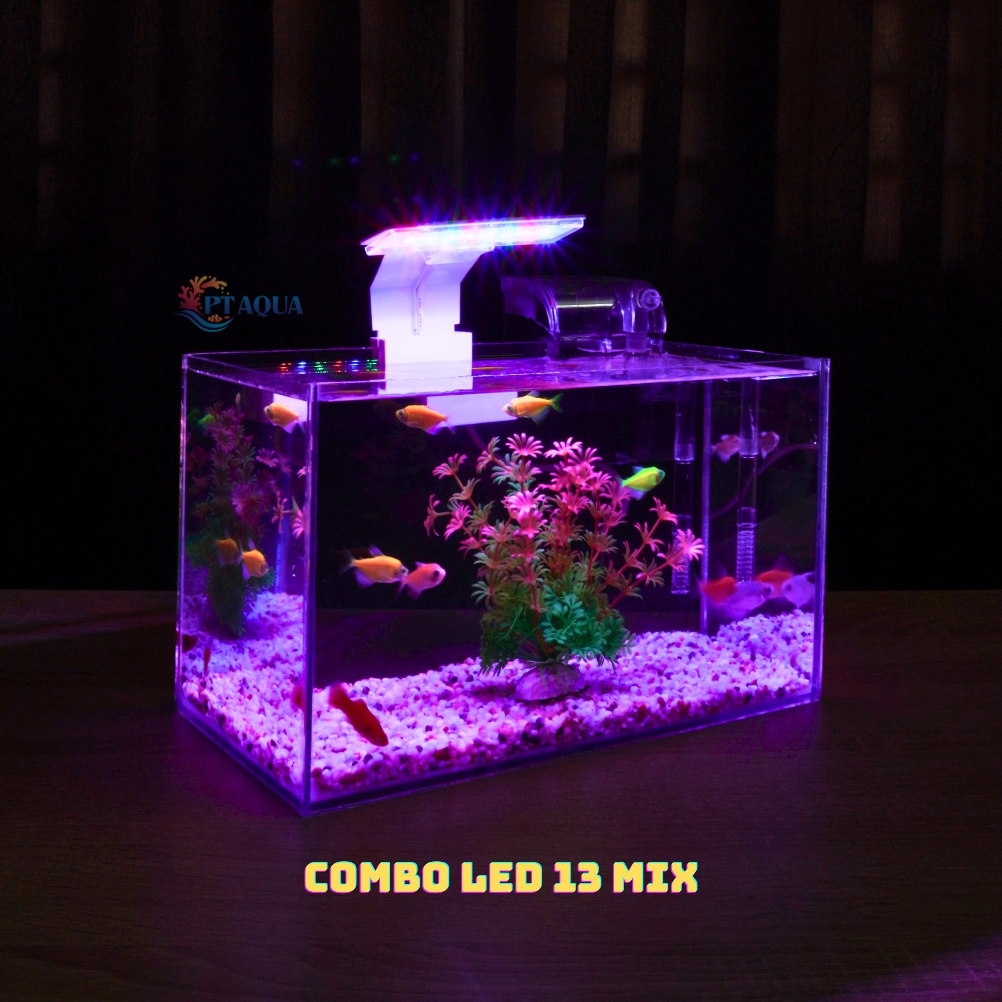 Bể cá mini để bàn 30x15x18 Nhiều Mẫu phù hợp nuôi cá cảnh mini để bàn ...