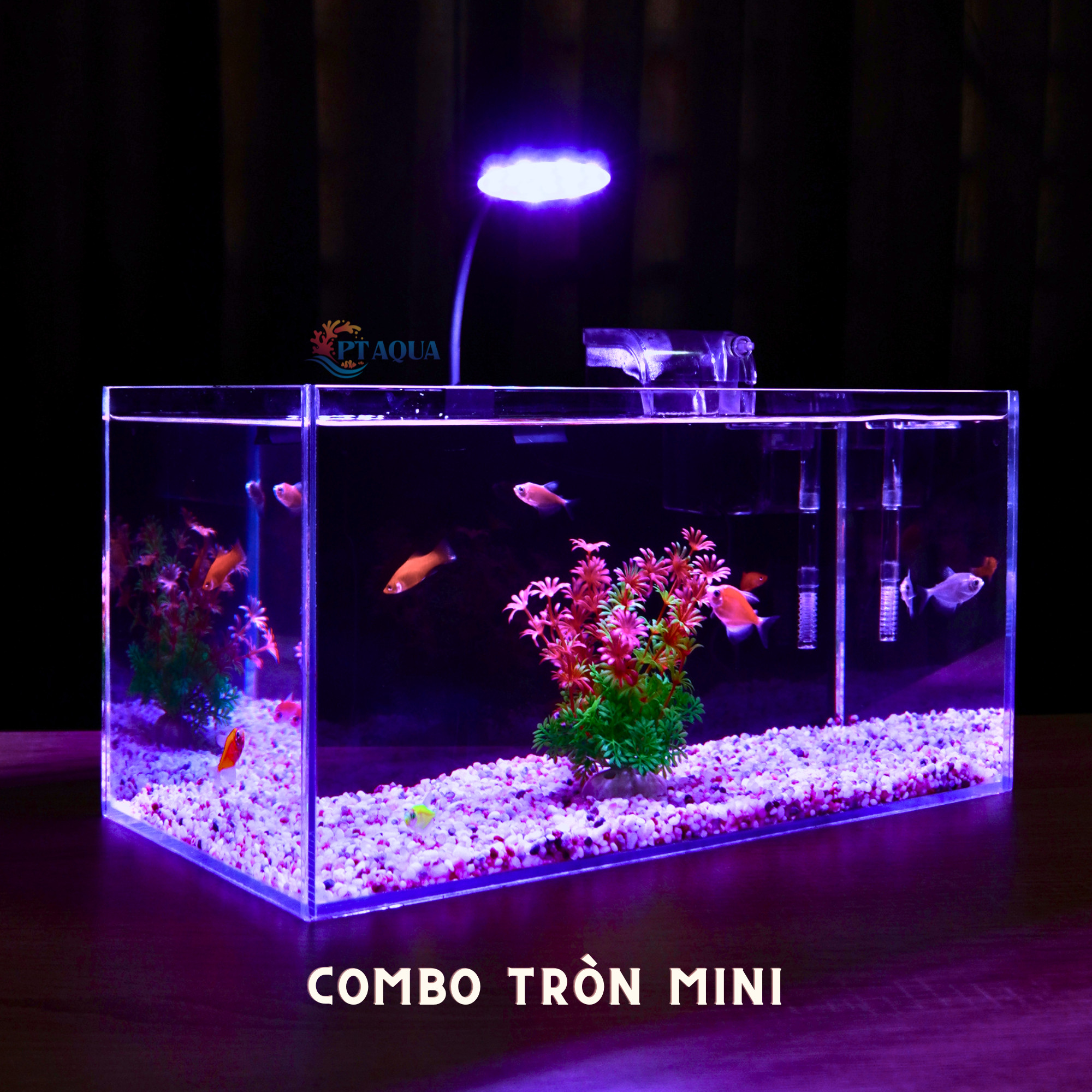 Bể cá mini 40cm COMBO đầy đủ CHỌN MẪU phù hợp nuôi cá cảnh mini để bàn ...