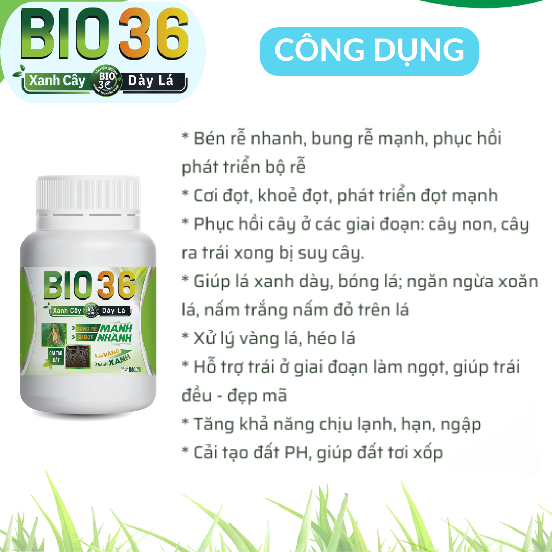 [Bio36 Chính Hãng] (Combo 4 Hũ) Bio 36 Kích Rễ Mạnh – Đẩy Đọt Nhanh ...