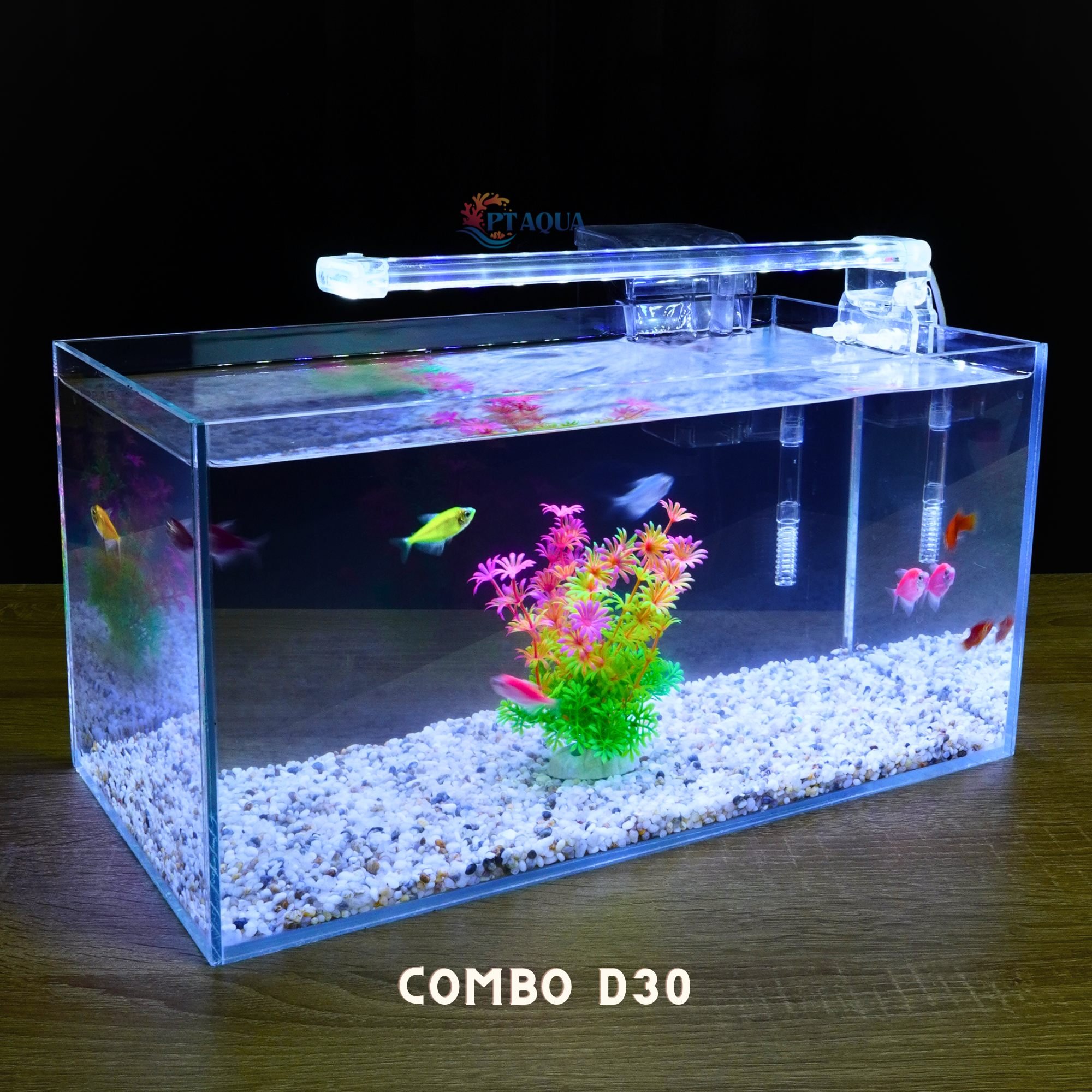 Bể cá mini để bàn 40x20x20cm nhiều mẫu phù hợp nuôi cá cảnh mini nhỏ ...