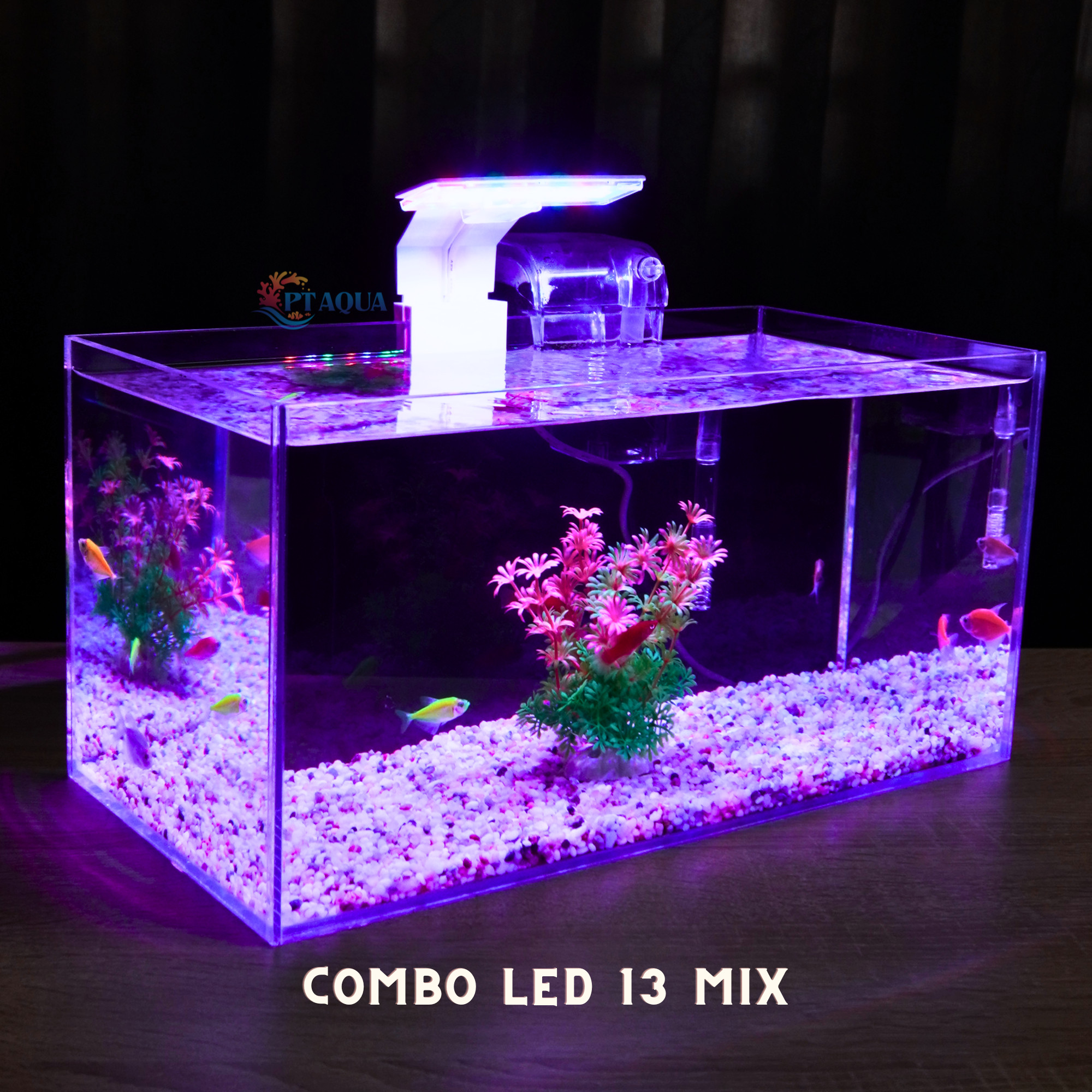 Bể cá mini để bàn 40x20x20cm nhiều mẫu phù hợp nuôi cá cảnh mini nhỏ ...