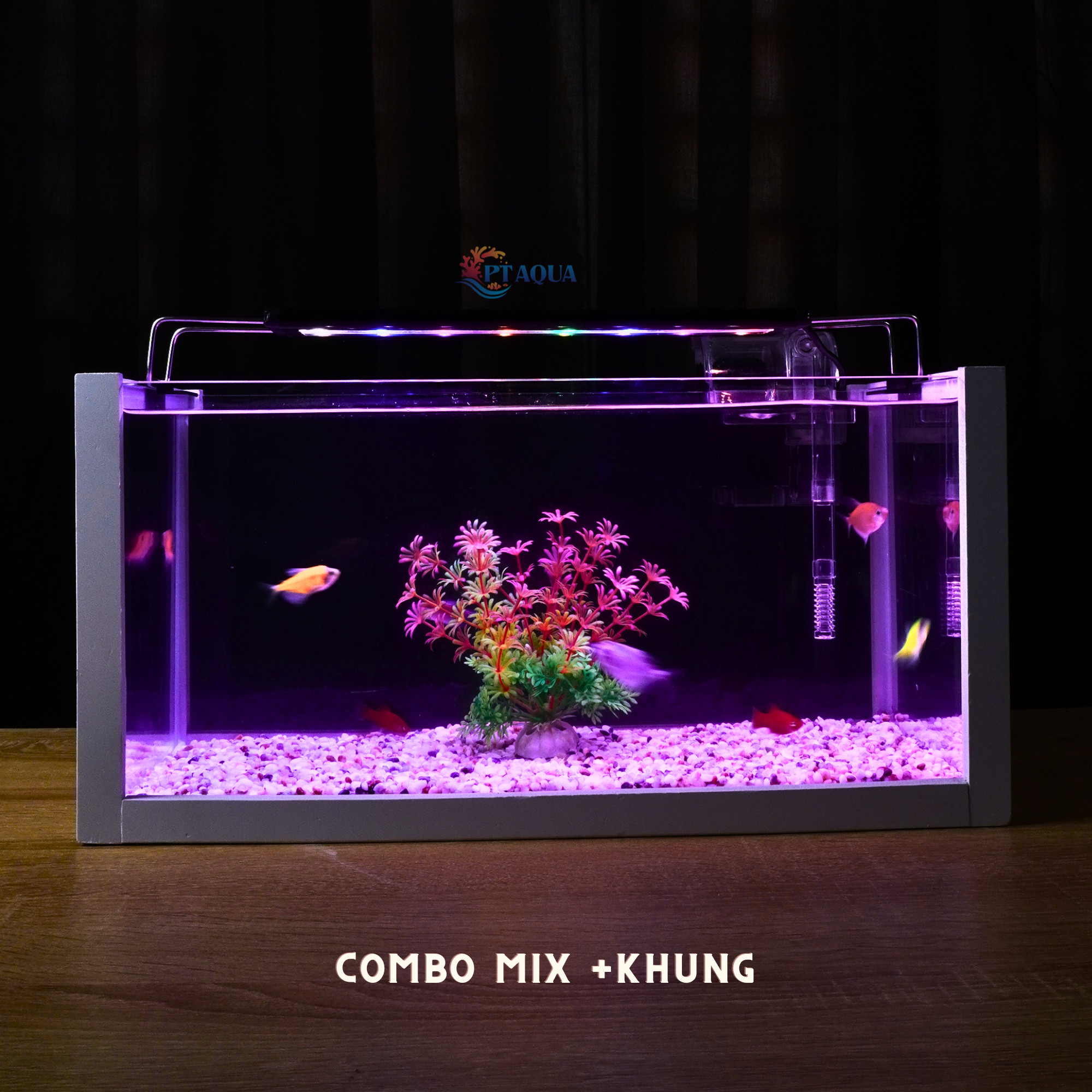 Bể cá mini để bàn 40x20x20cm nhiều mẫu phù hợp nuôi cá cảnh mini nhỏ ...