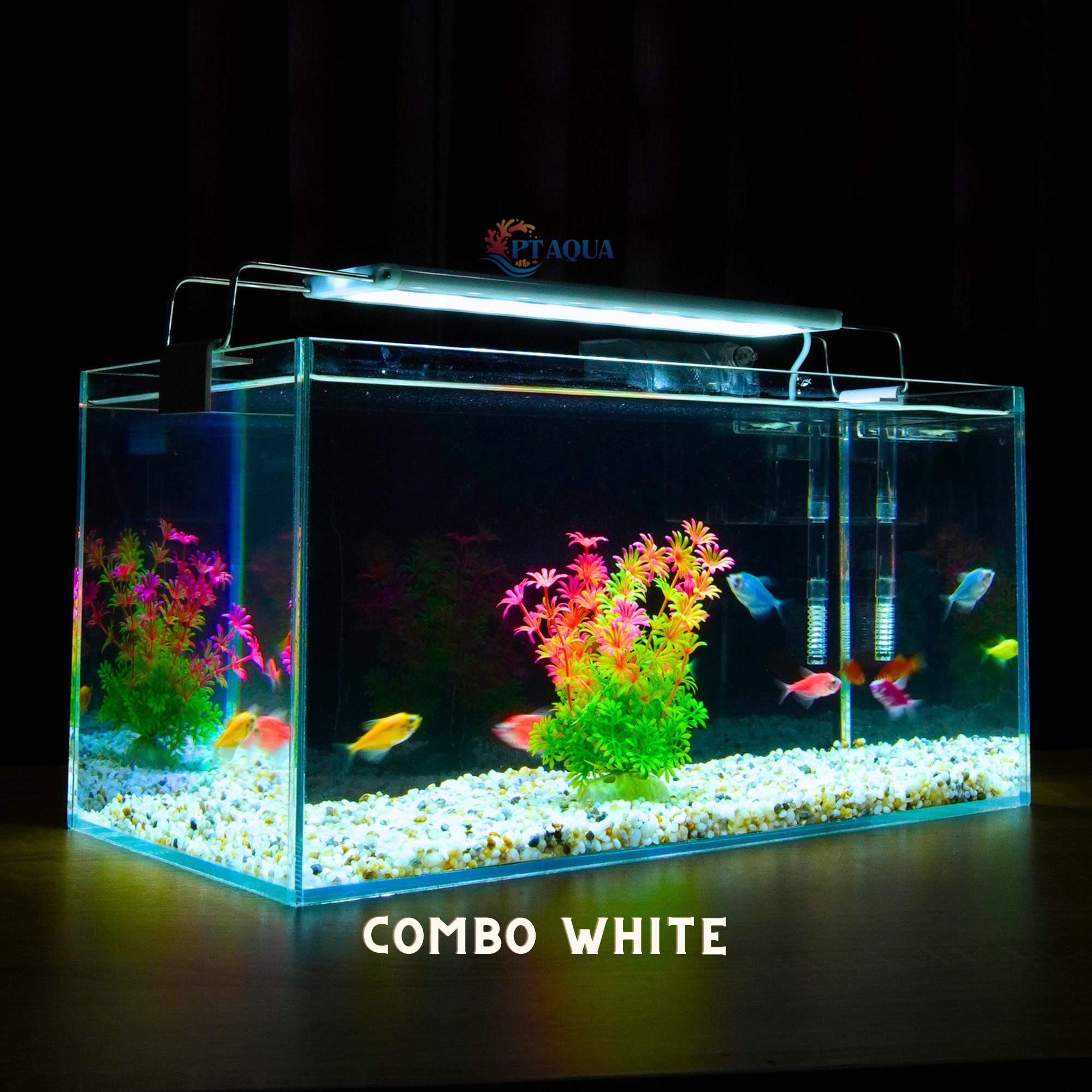 Bể cá mini để bàn 40x20x20cm nhiều mẫu phù hợp nuôi cá cảnh mini nhỏ ...