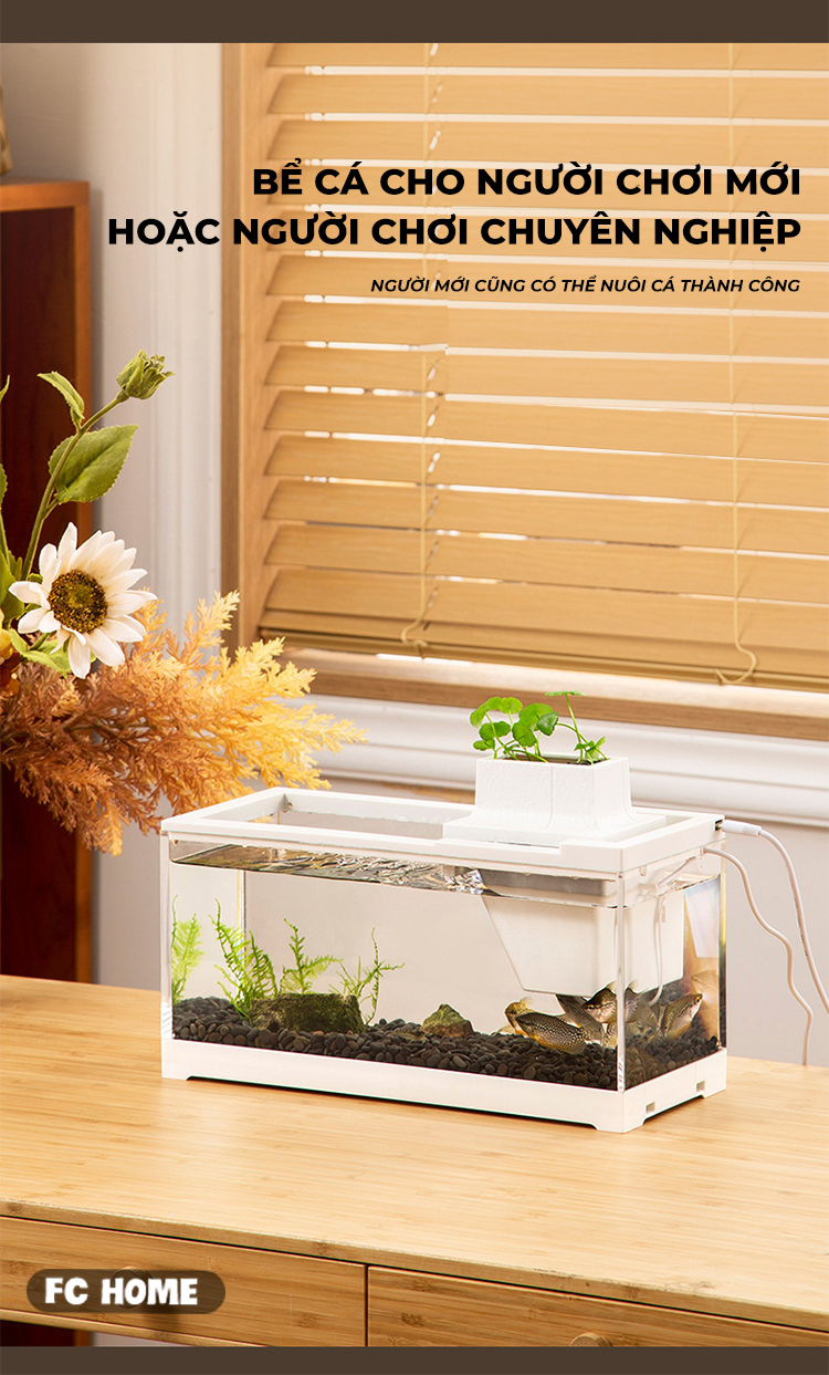 Bể cá mini có tích hợp đèn thủy sinh NAGO, bể cá để bàn văn phòng, Hệ ...