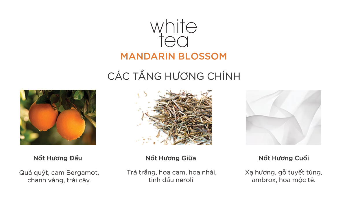 Nước hoa Nữ Elizabeth Arden White Tea Mandarin Blossom EDT 30ml ...