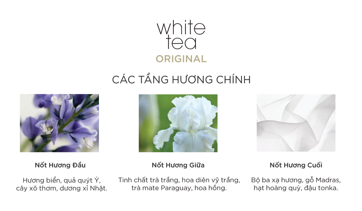 Nước hoa Nữ Elizabeth Arden White Tea EDT 30ml | Shopee Việt Nam