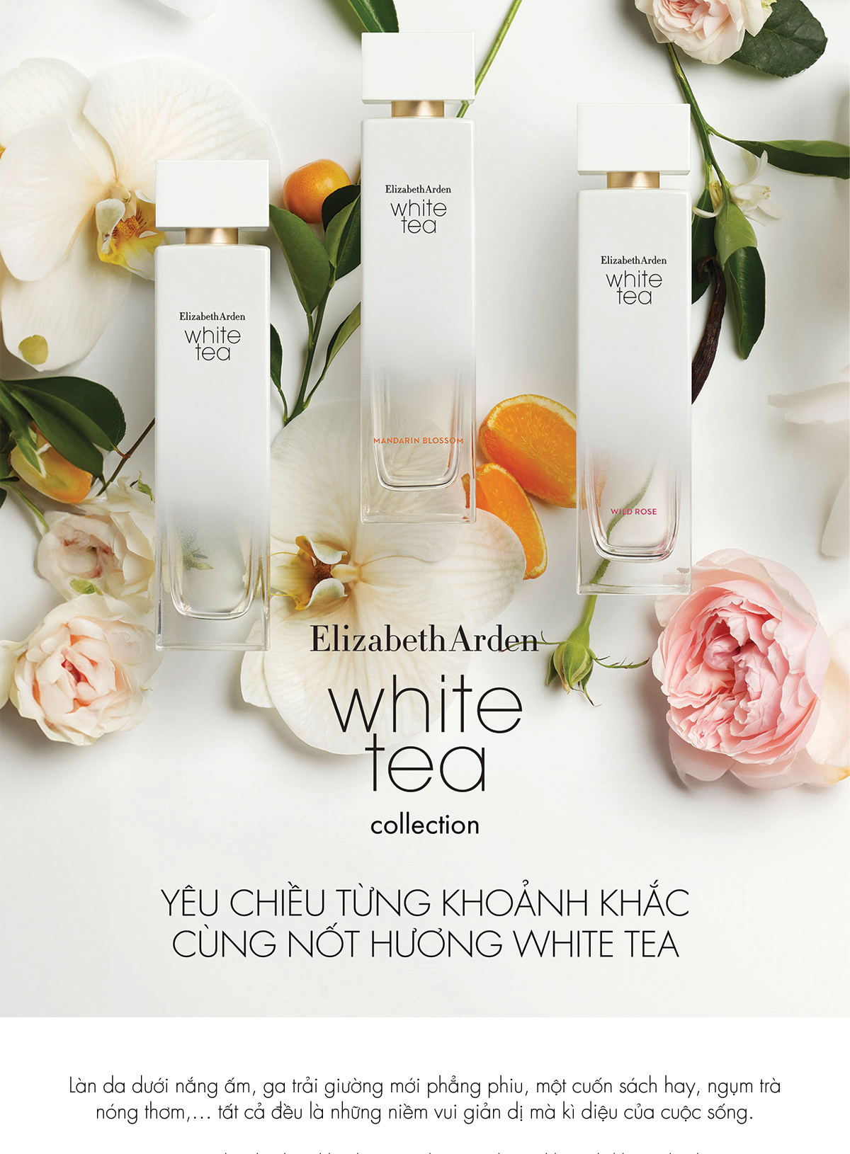 Nước hoa Nữ Elizabeth Arden White Tea EDT 100ml | Shopee Việt Nam