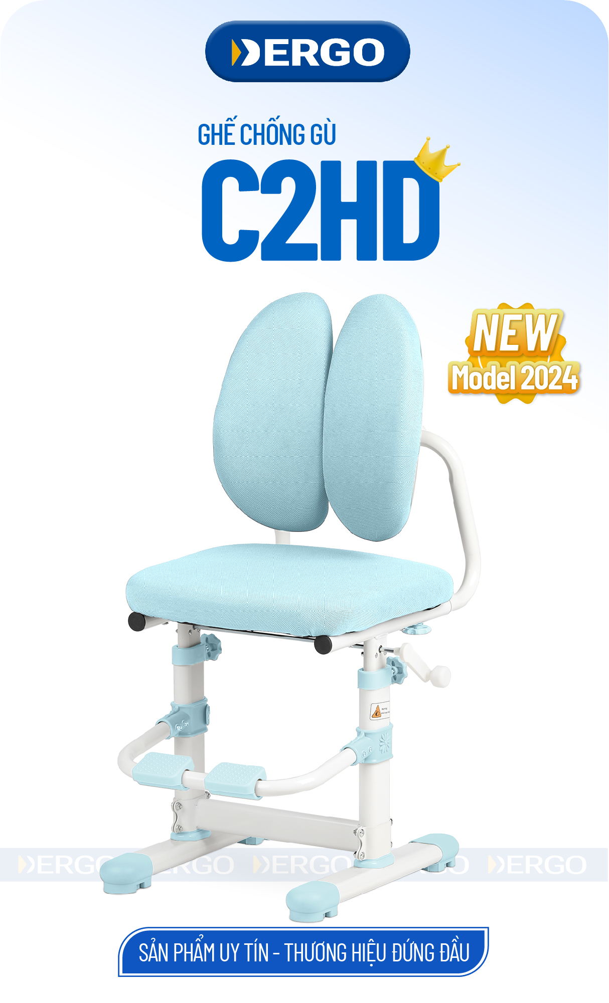 [Nâng hạ TAY QUAY] Ghế Chống Gù Cao Cấp DERGO LEO C2HD Có Giá Kê Chân ...