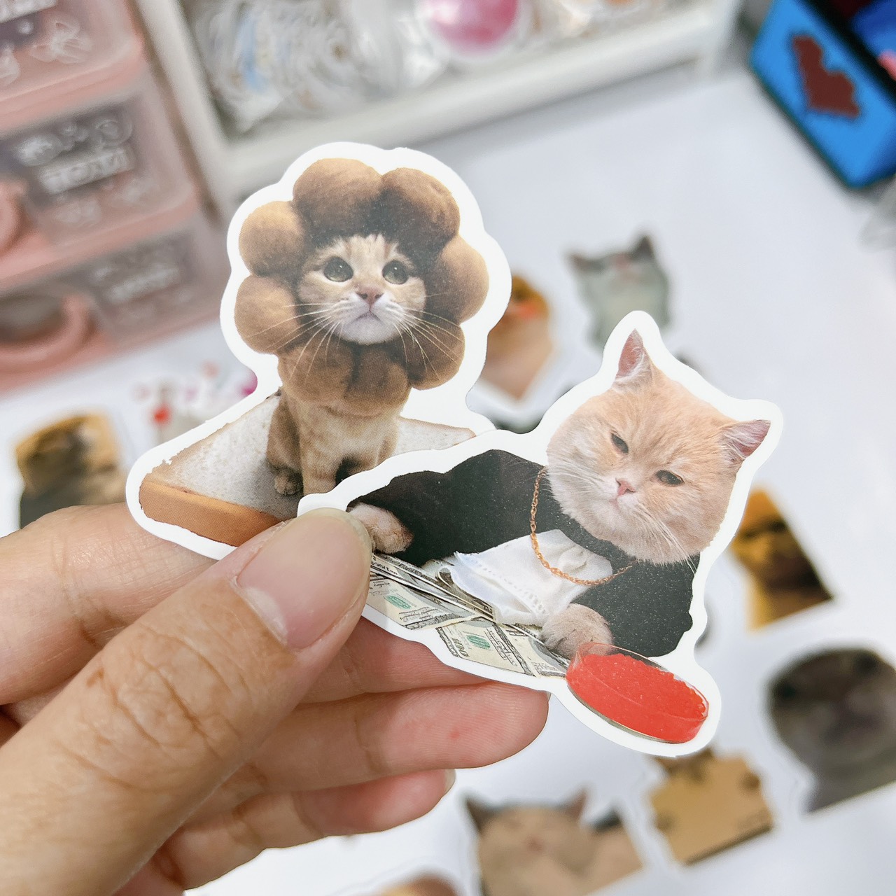 50 Sticker meme mèo đáng yêu hình dán chống nước trang trí sổ tay điện ...