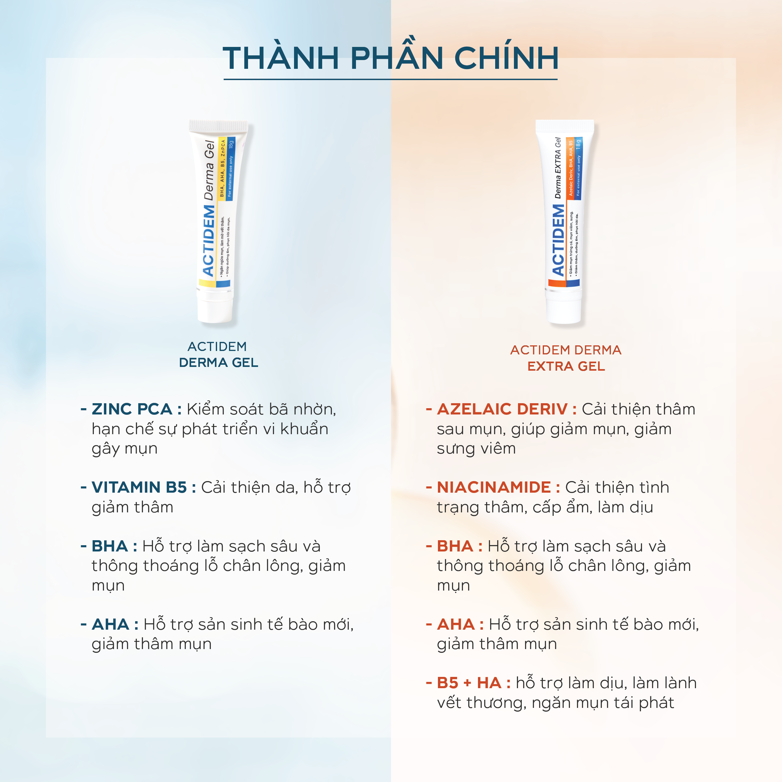 Gel giảm mụn Actidem Derma Gel 18/40gr | Shopee Việt Nam