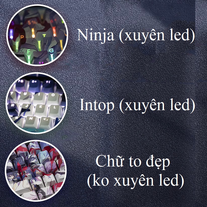 Keycap Zenless Zone Zero Ellen Joe thick PBT xuyên led in dyesub 5 mặt ...