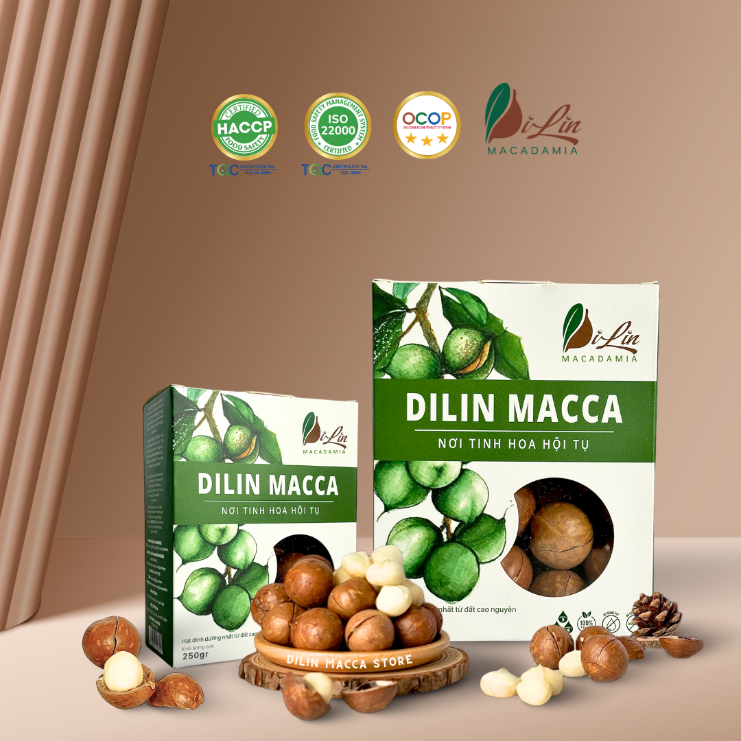 Hạt Macca Lâm Đồng Size Trung | DiLin Macadamia - Lam Dong Macadamia ...
