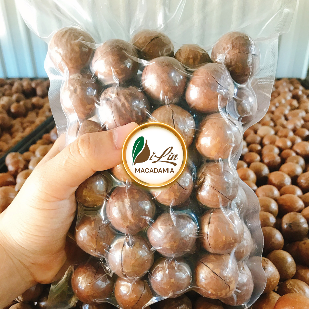 DiLin Macadamia - Hạt Macca Cao Cấp (Lon 500g) | Shopee Việt Nam