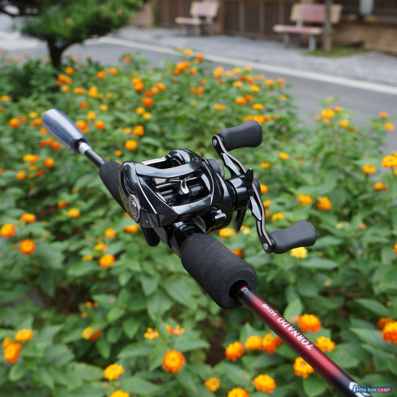 Máy Câu Ngang Daiwa TATULA SV TW 103 | 2020 - T-Wing System, SV Concept ...