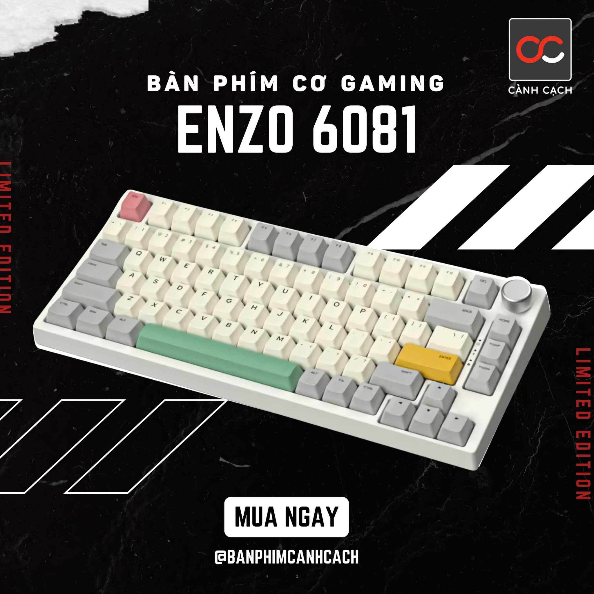 Bàn Phím Cơ Không Dây Mạch Xuôi 3 Mode Led RGB ENZO 6081 | Shopee Việt Nam