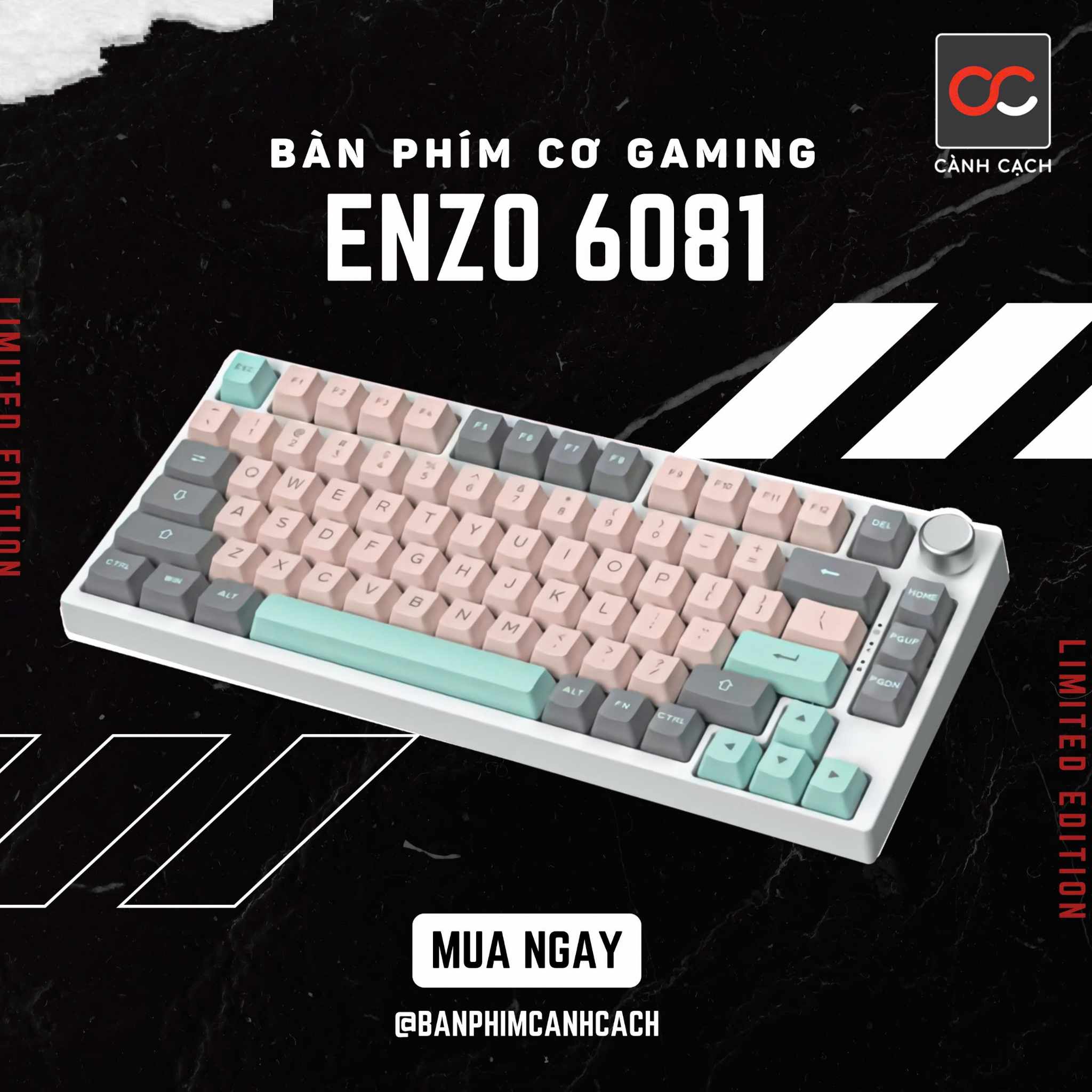Bàn Phím Cơ Không Dây Mạch Xuôi 3 Mode Led RGB ENZO 6081 | Shopee Việt Nam