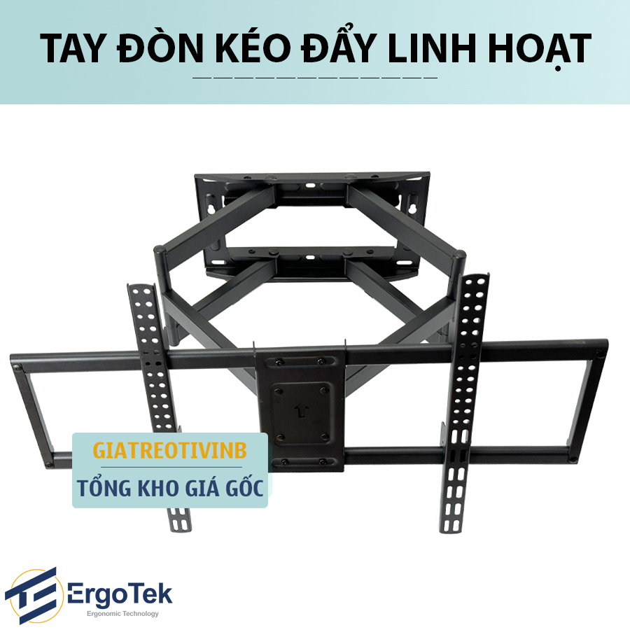 Giá Treo Tivi Đa Năng Cỡ Lớn ErgoTek E69 55 - 110 Inch - Khung Treo Màn Hình Tương Tác Kéo Đẩy ...