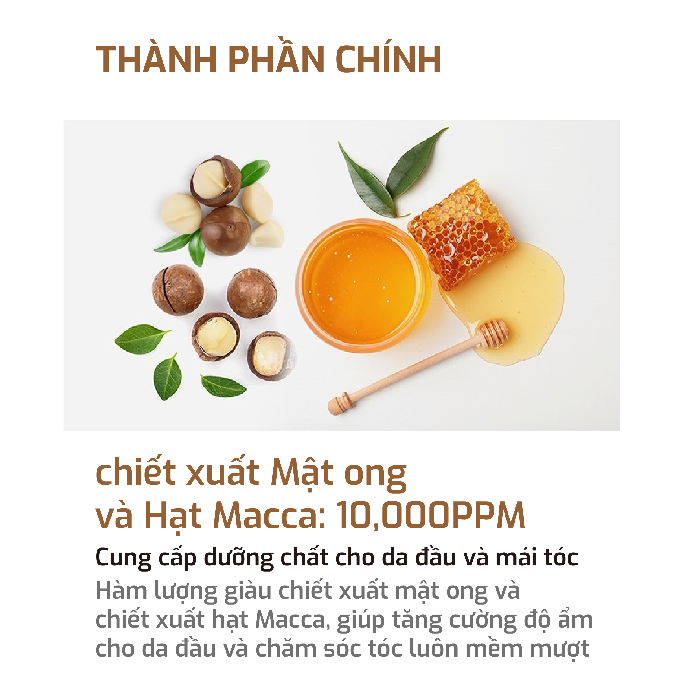 Set Dầu Gội - Dầu Xả Kundal Honey&Macadamia 500ml*2ea | Shopee Việt Nam