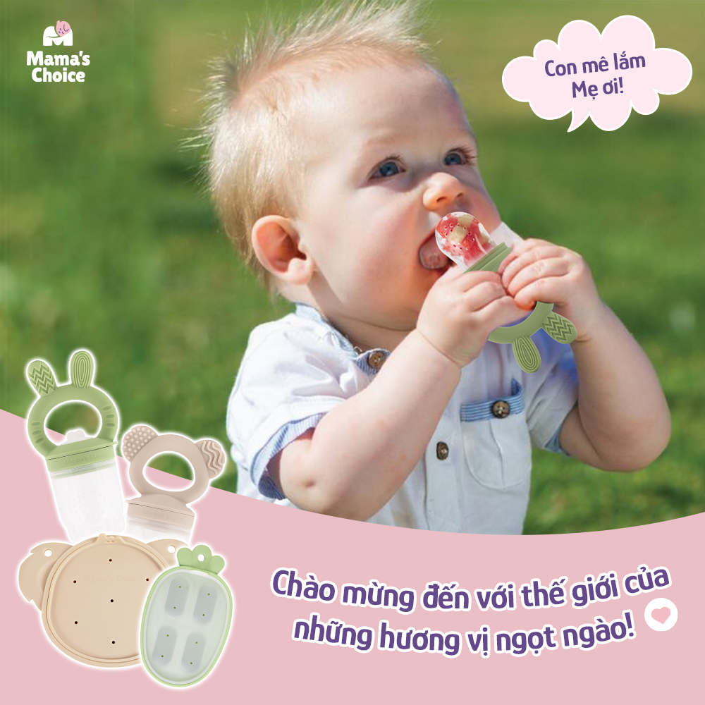 Túi Nhai Ăn Dặm Mama's Choice Cho Bé, Núm Nhai Hoa Quả Chống Hóc, Tặng ...