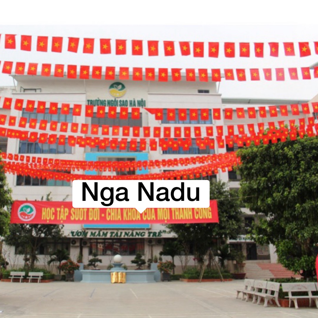 Dây cờ tam giác,cờ đuôi nheo - Dây Cờ Đảng Sao trang trí Tết,nhà Chùa trường học,mầm non,lễ hội ...